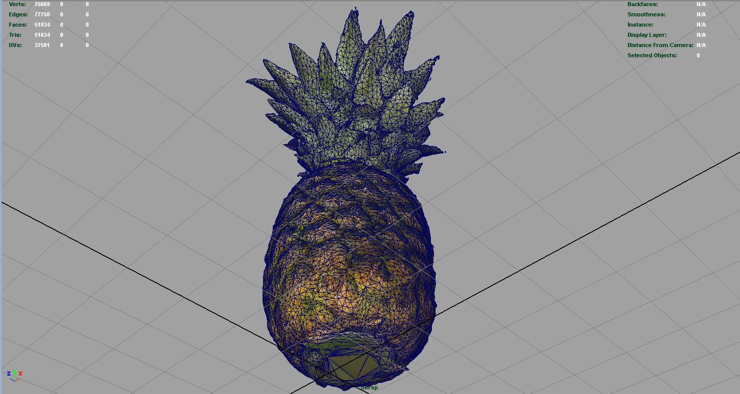 Ananas - 3D Model by sanchiesp