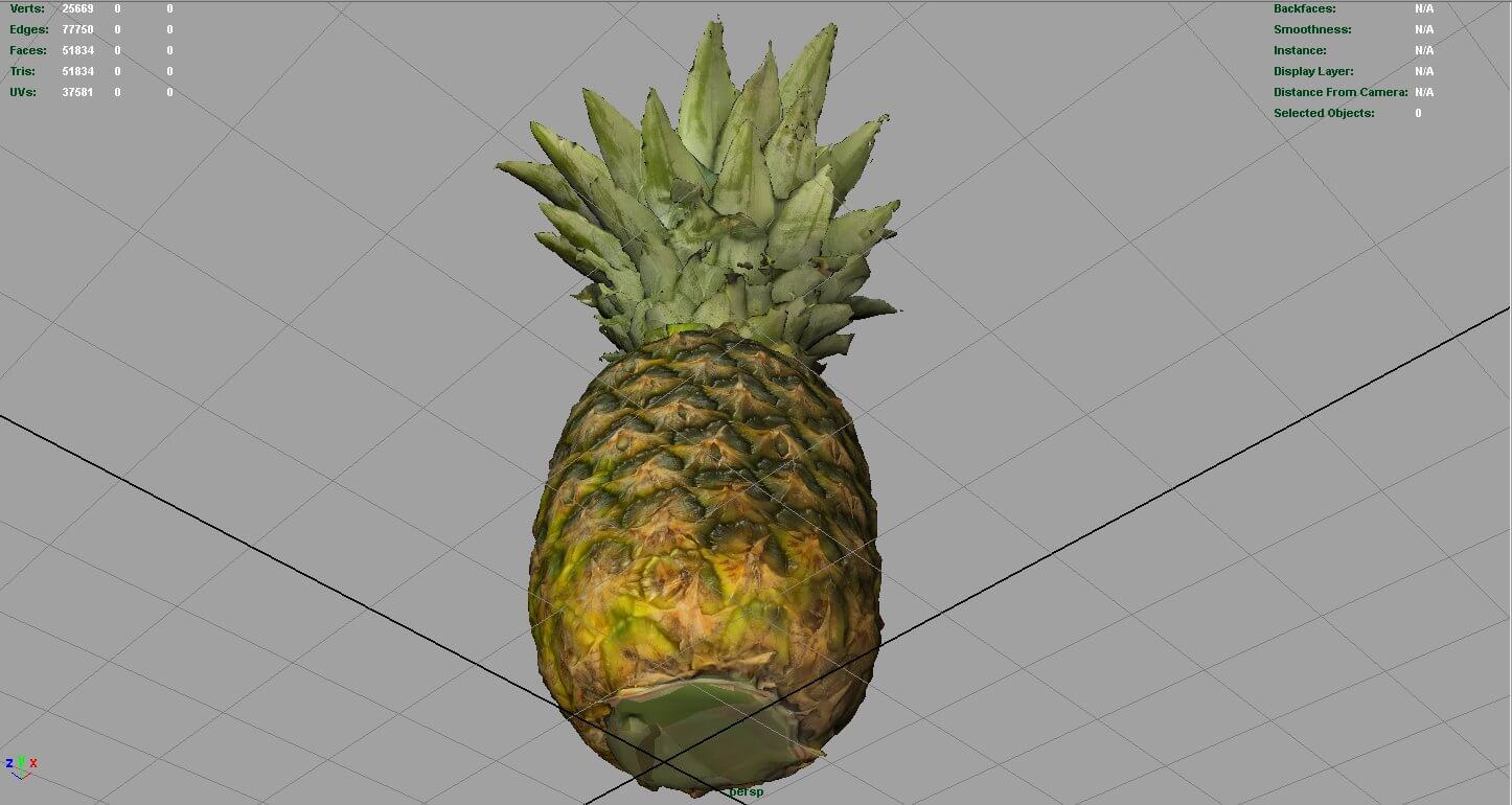 Ananas - 3D Model by sanchiesp