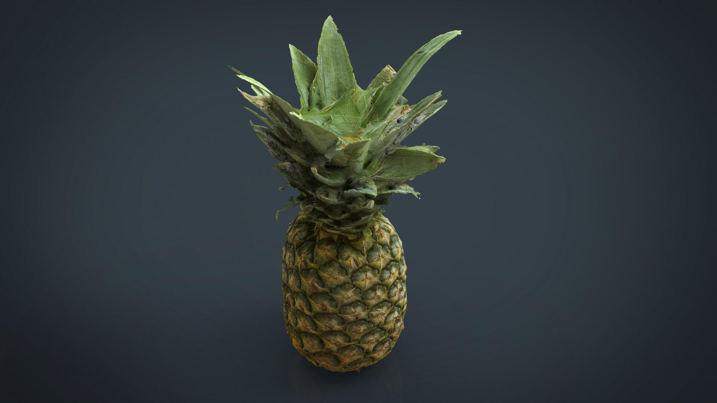 Ananas - 3D Model by sanchiesp