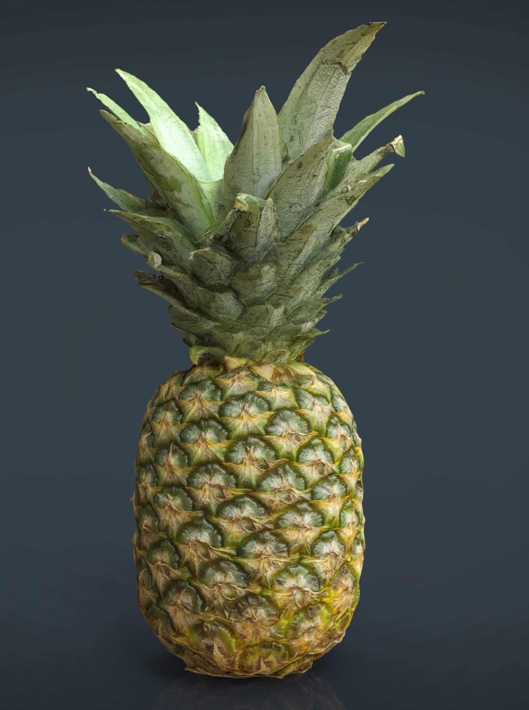 Ananas - 3D Model by sanchiesp