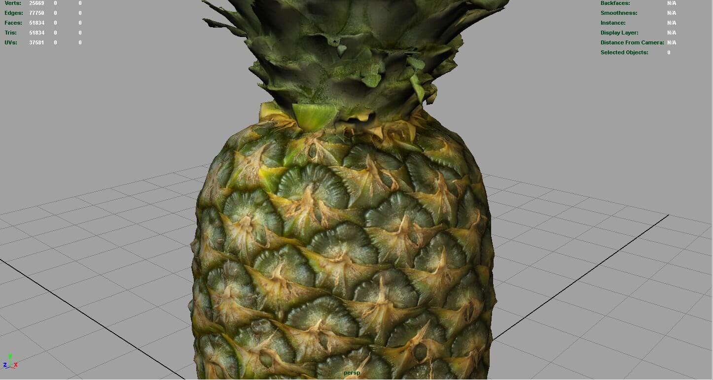 Ananas - 3D Model by sanchiesp