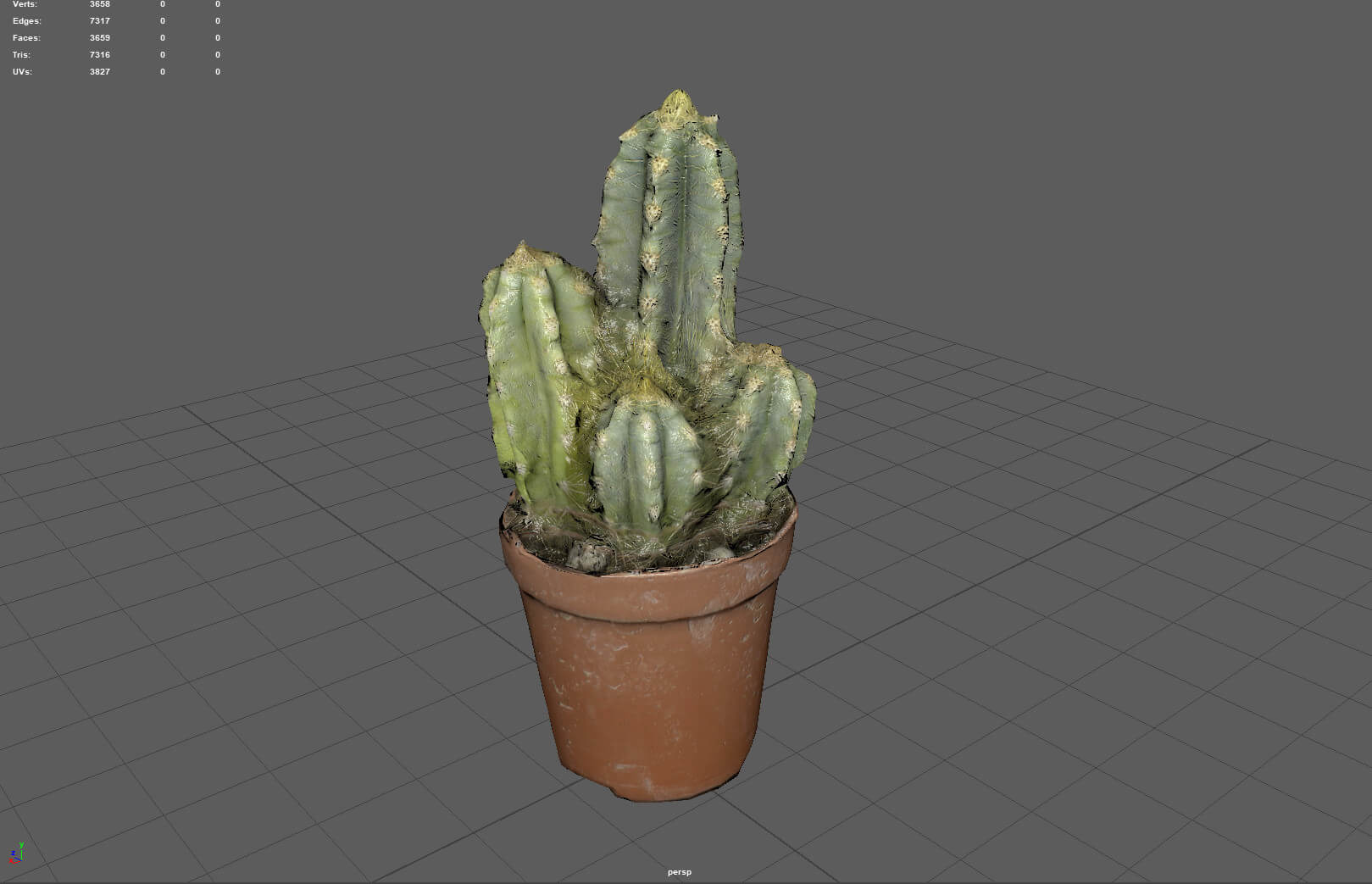 Cactus Plant - 3D Model by sanchiesp