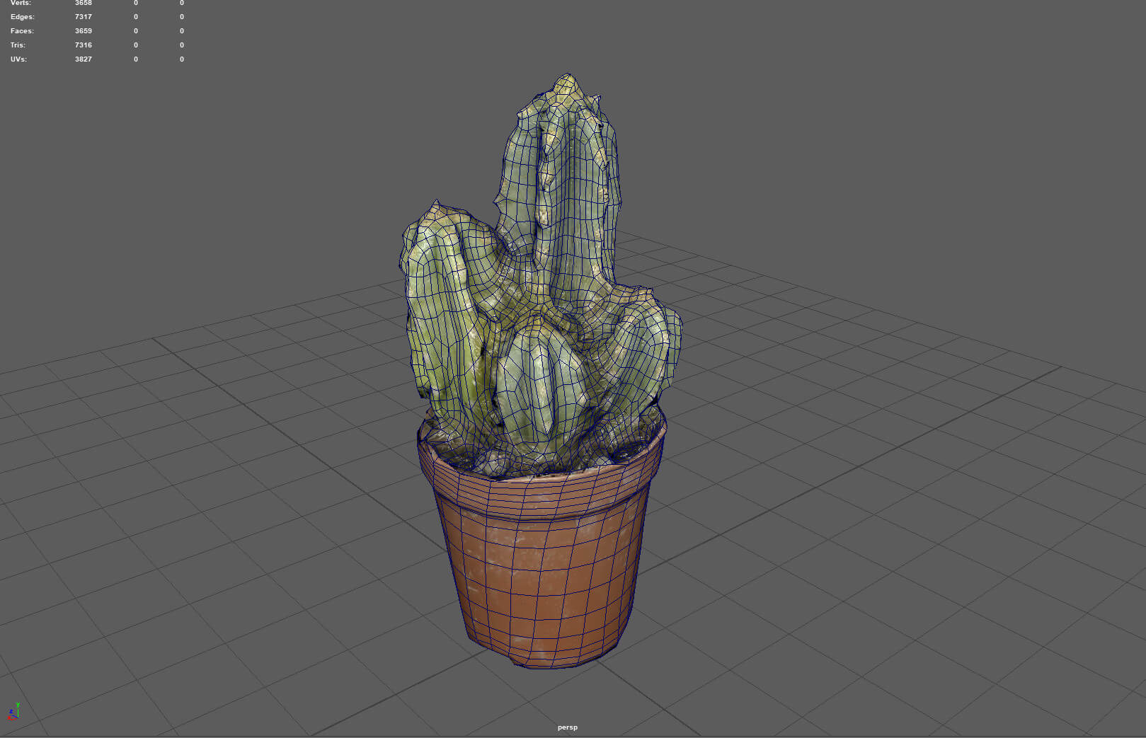 Cactus Plant - 3D Model by sanchiesp