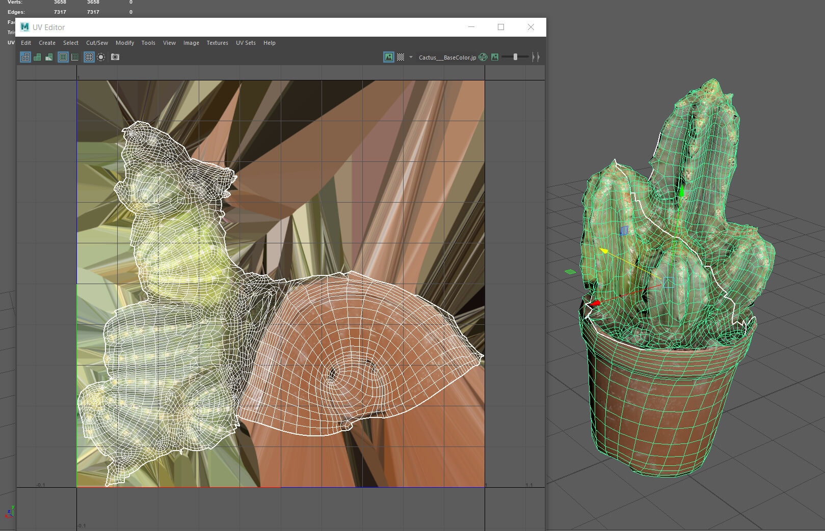 Cactus Plant - 3D Model by sanchiesp