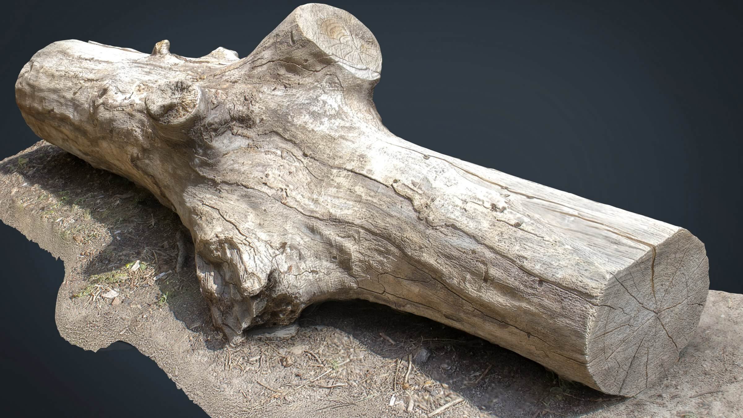 Dead Trunk 3 - 3D Model by sanchiesp