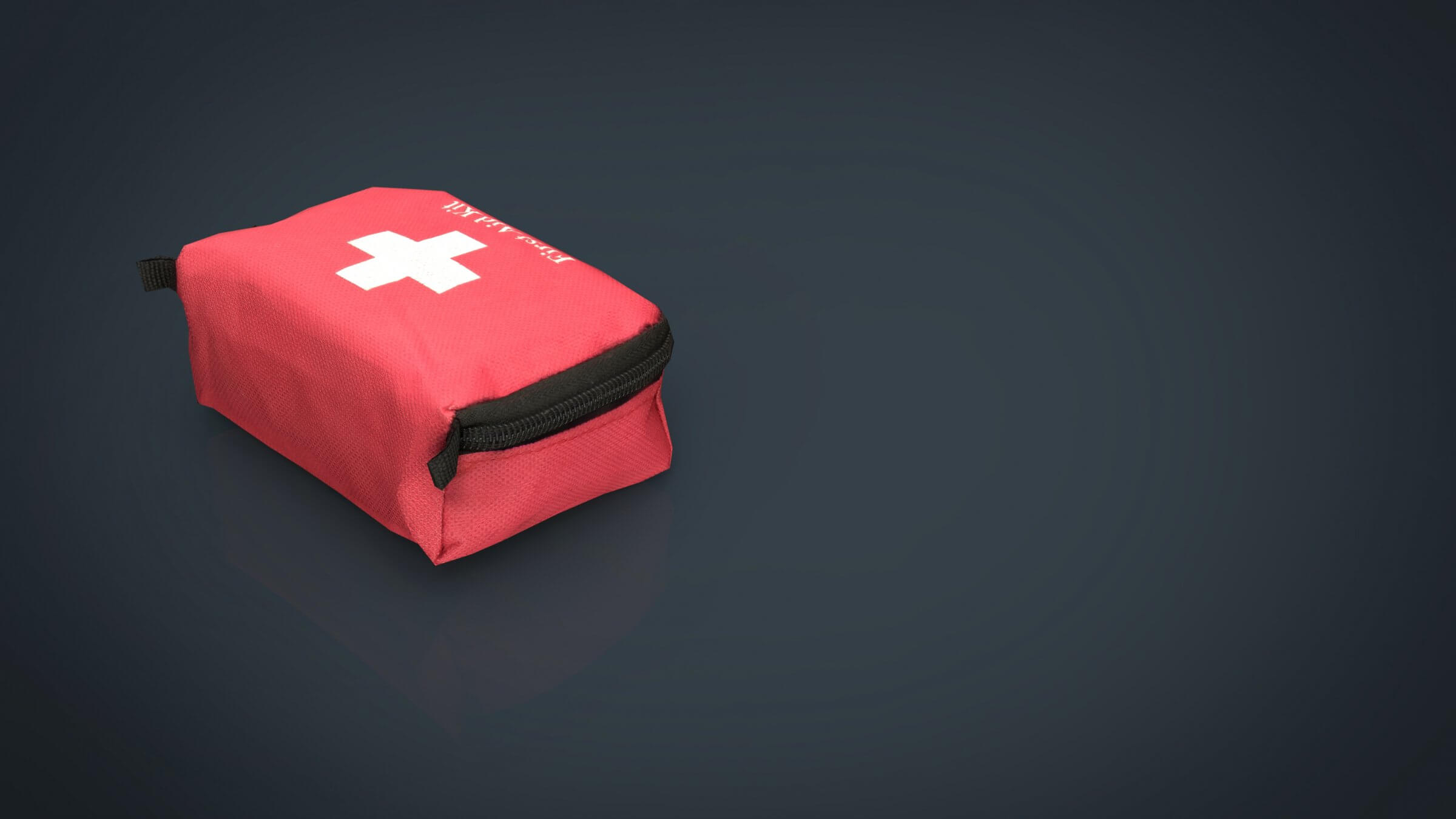 First Aid Kit - 3D Model by sanchiesp