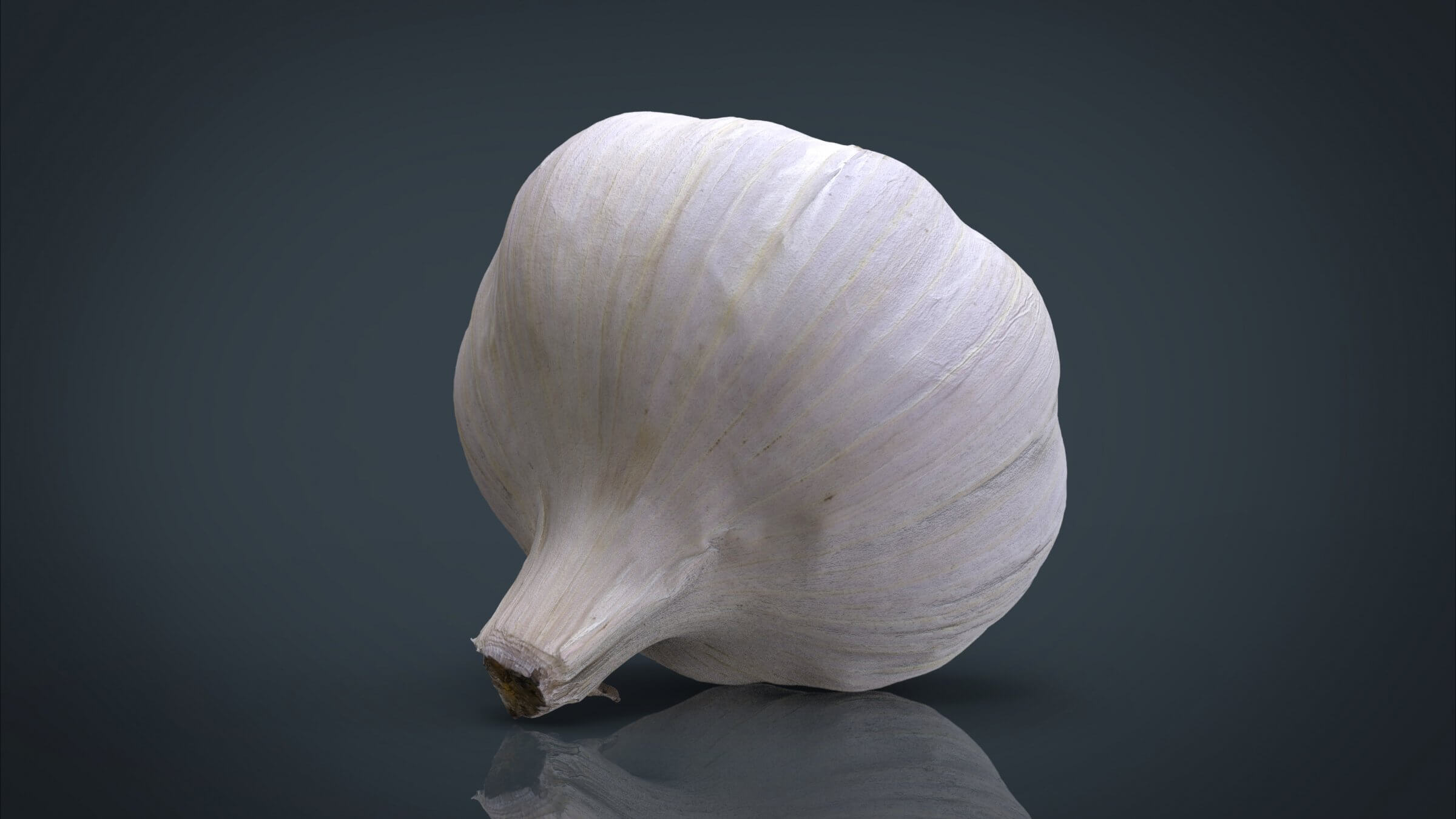 Garlic - 3D Model by sanchiesp