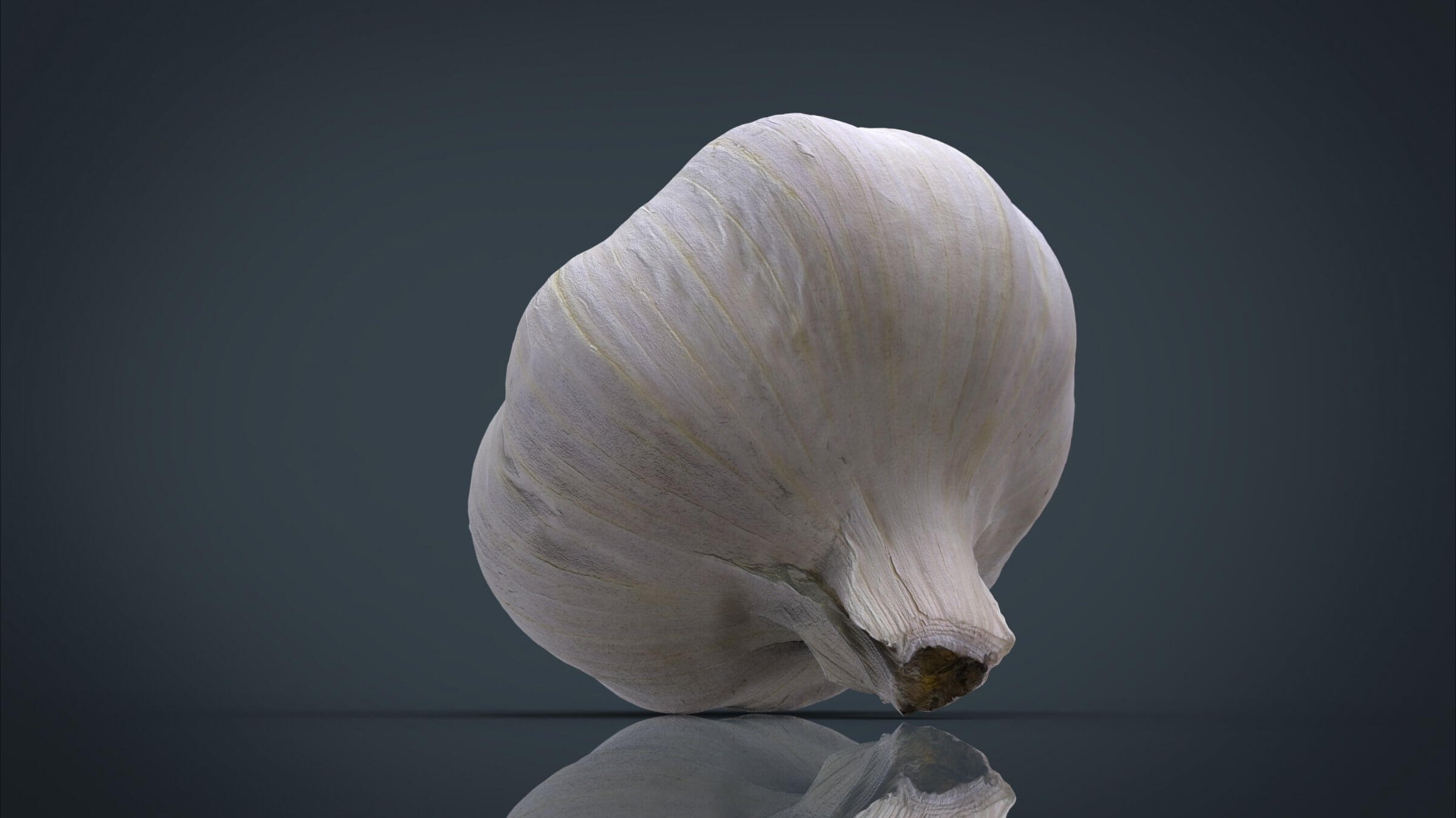 Garlic - 3D Model by sanchiesp