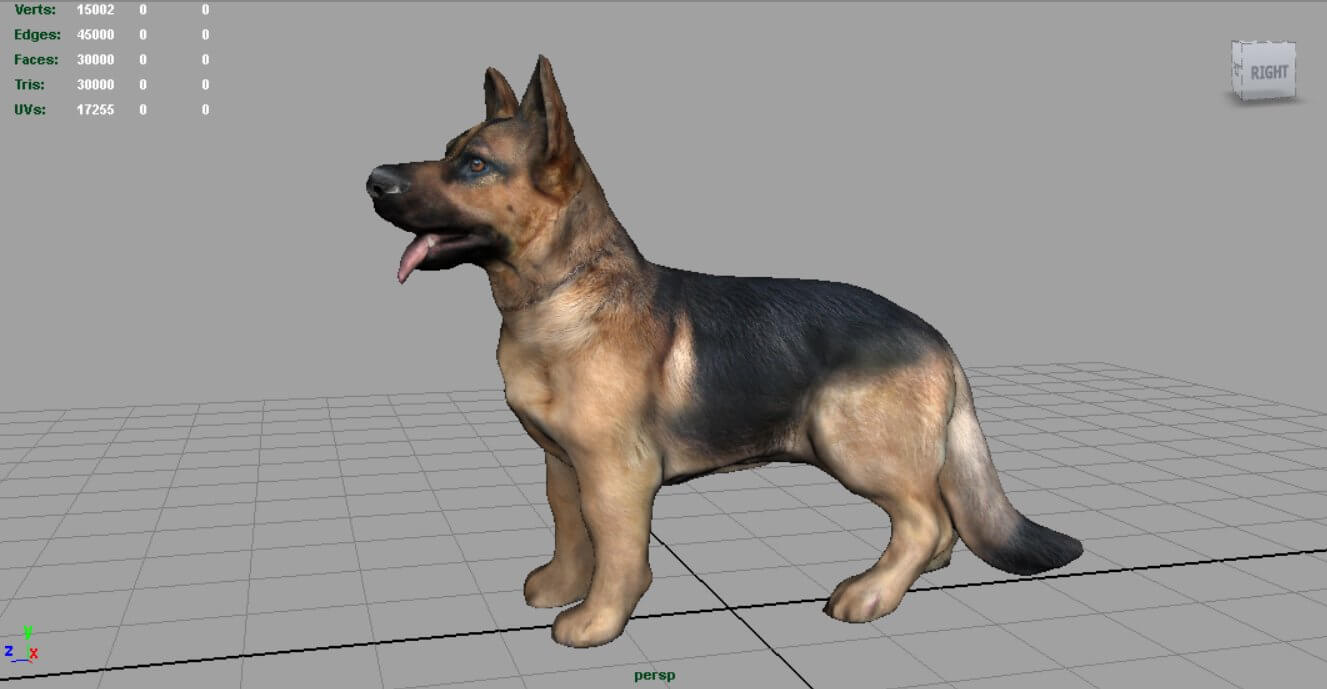 German Shepherd - 3D Model by sanchiesp