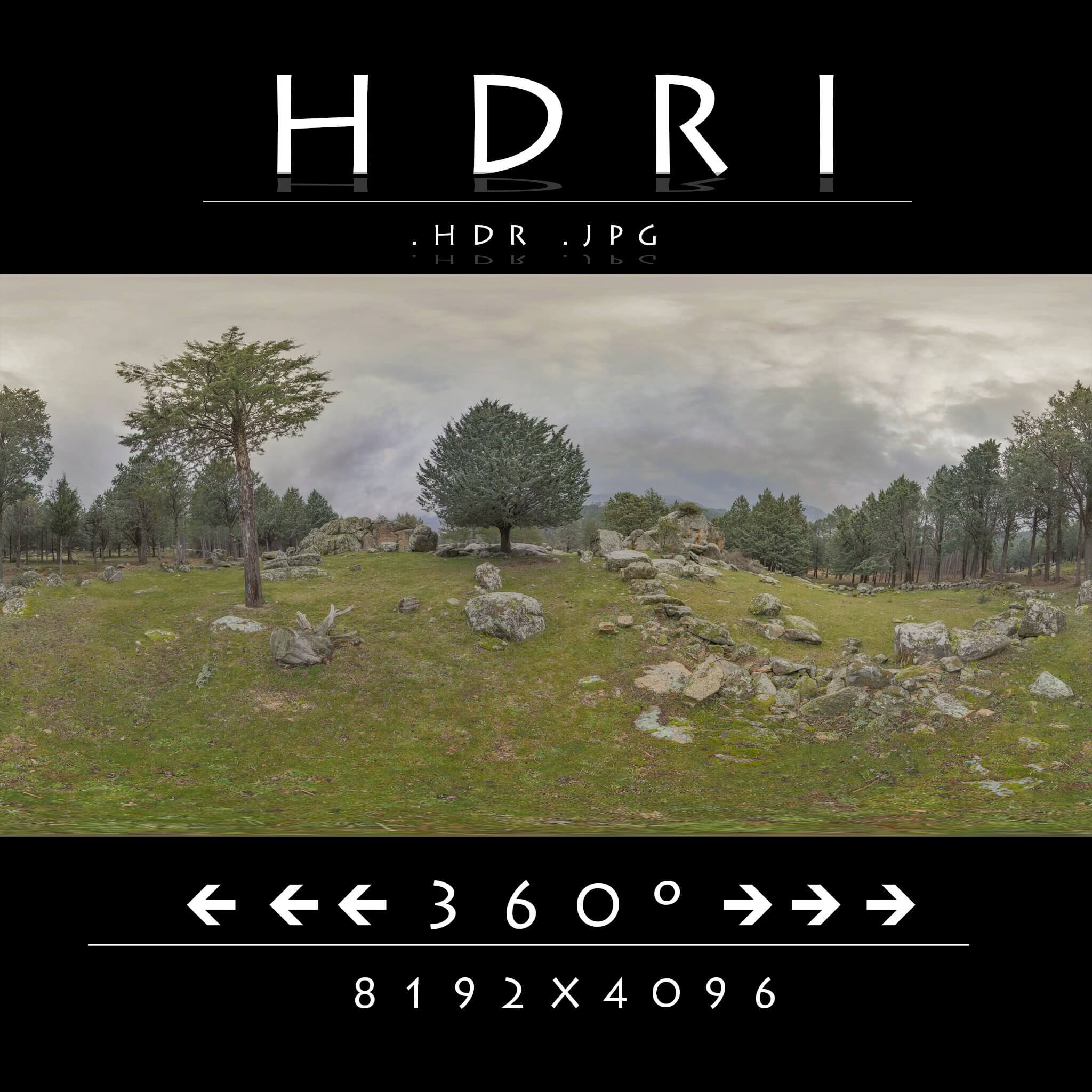 HDR Green Grass in Forest by sanchiesp