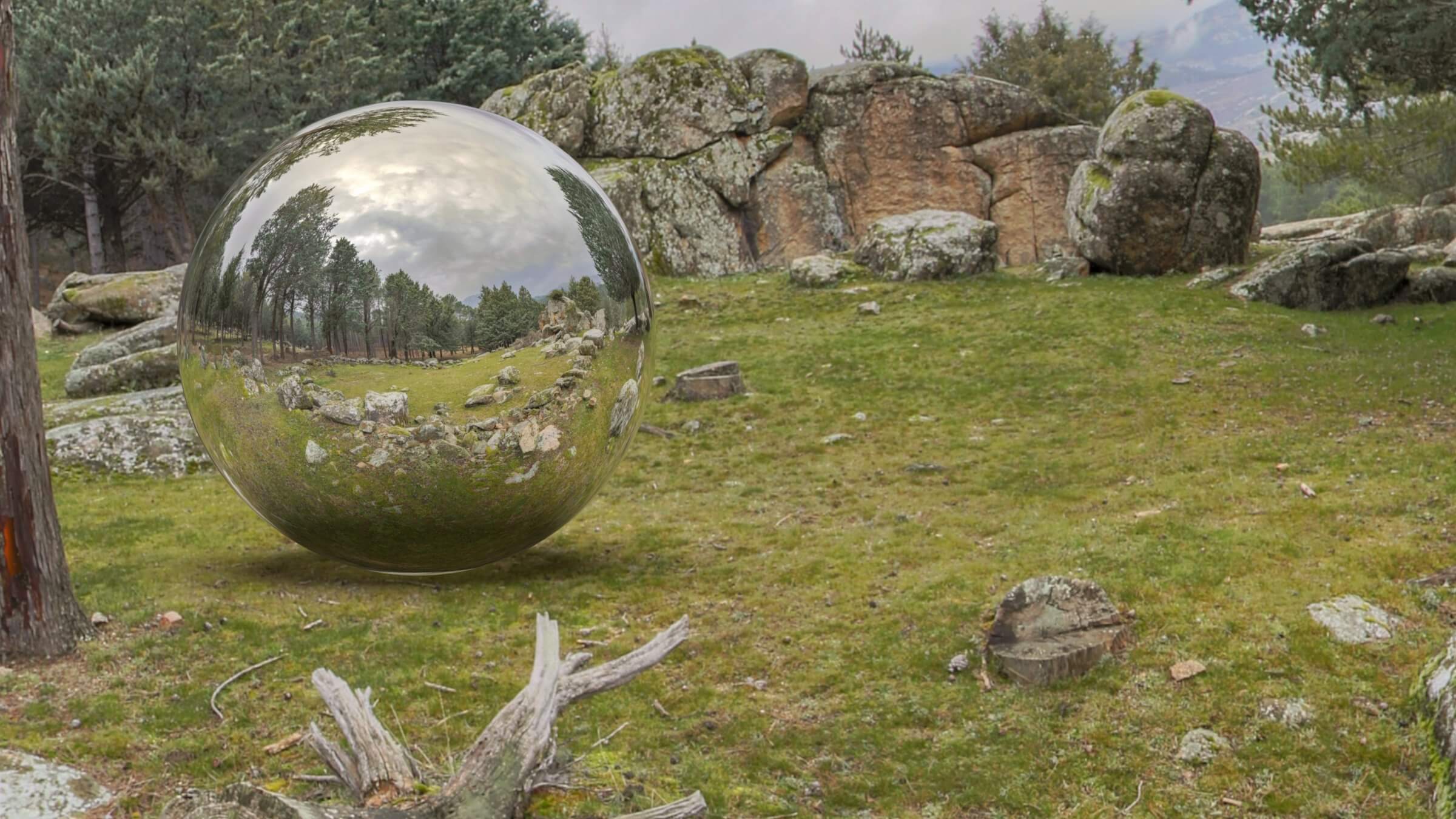 HDR Green Grass in Forest by sanchiesp