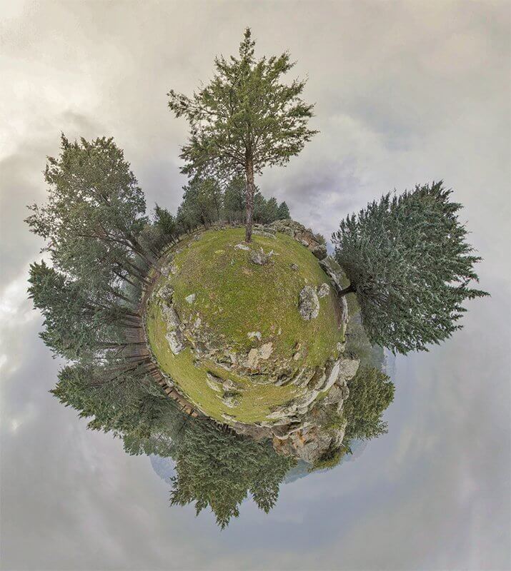 HDR Green Grass in Forest by sanchiesp