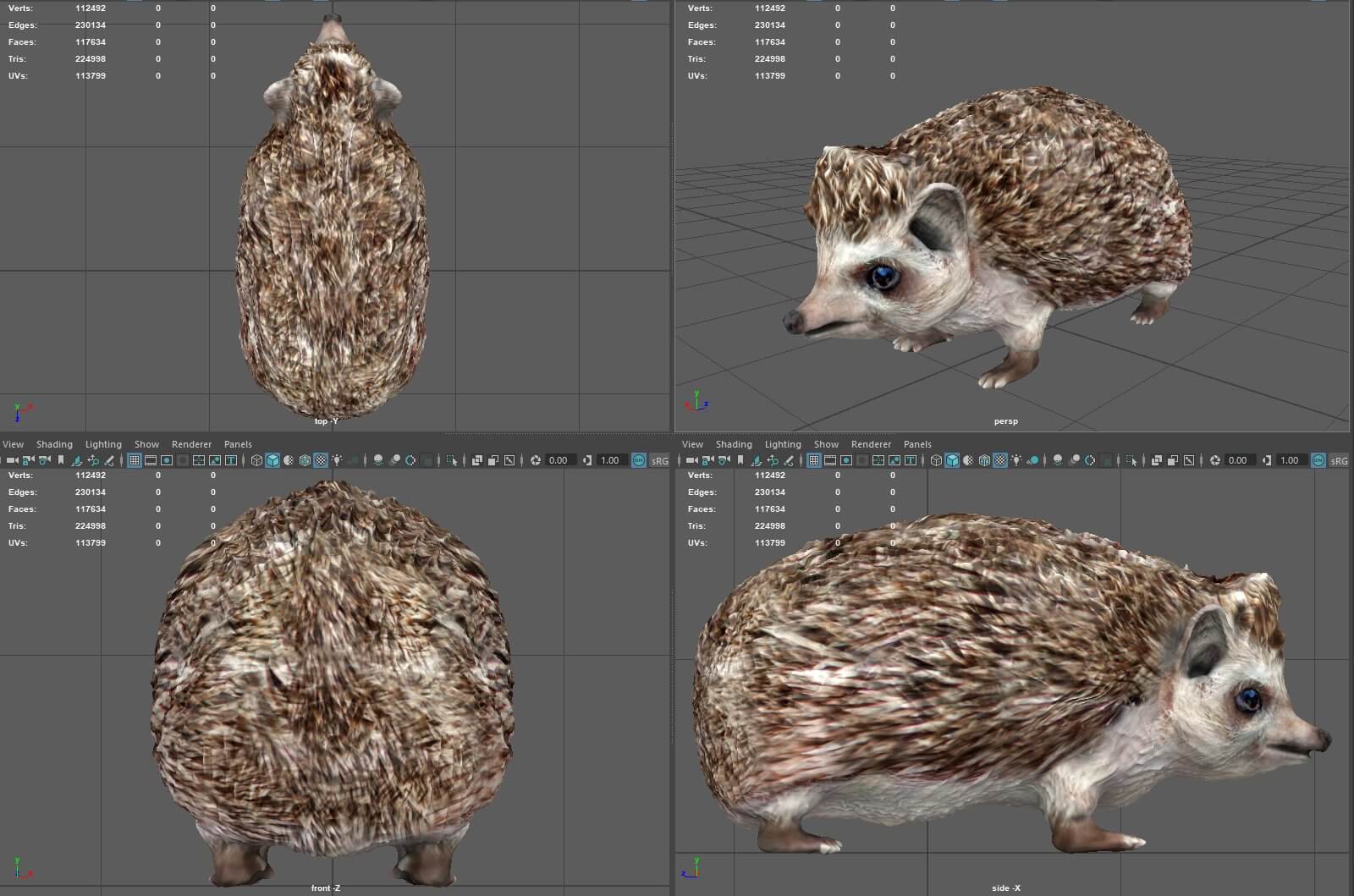 Hedgehog - 3D Model by sanchiesp
