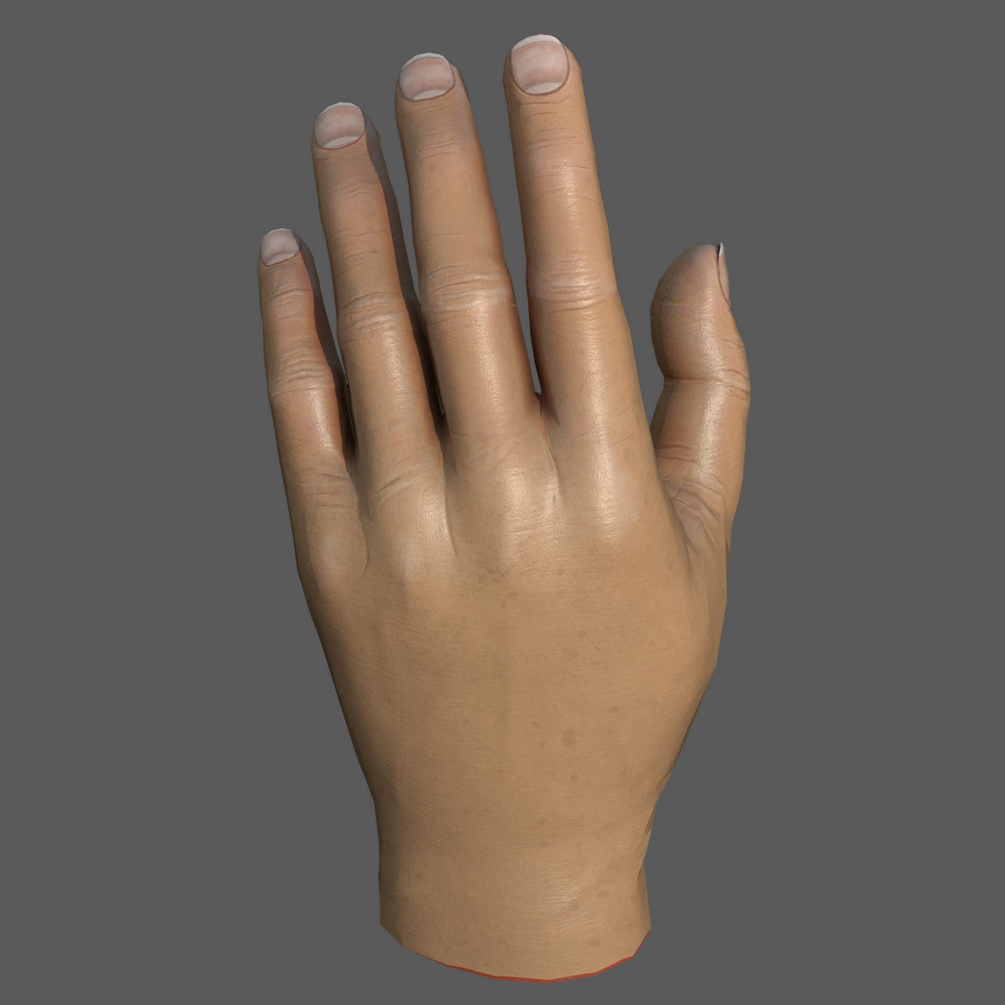 Anatomy Male Hand - 3D Model by sanchiesp