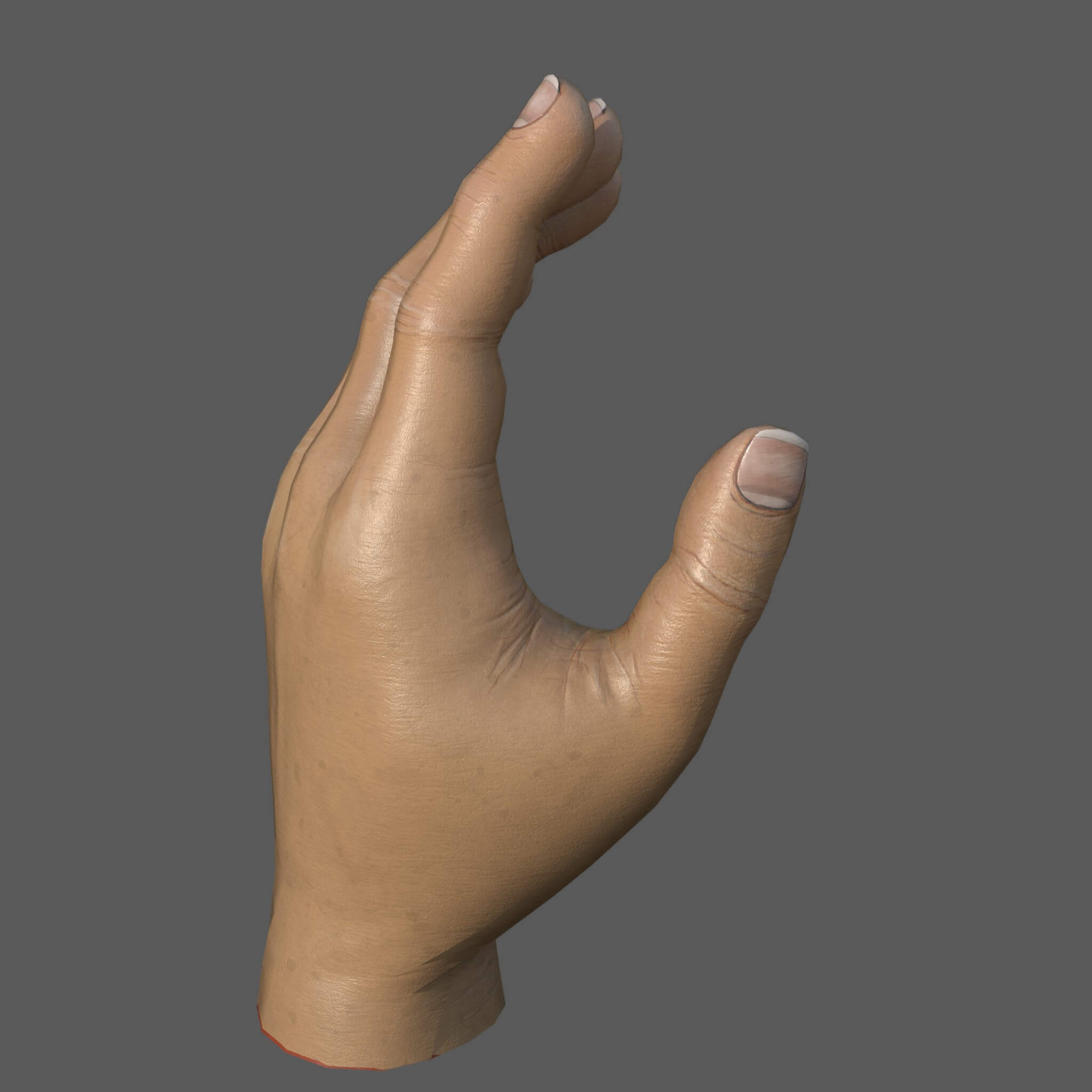 Anatomy Male Hand - 3D Model by sanchiesp