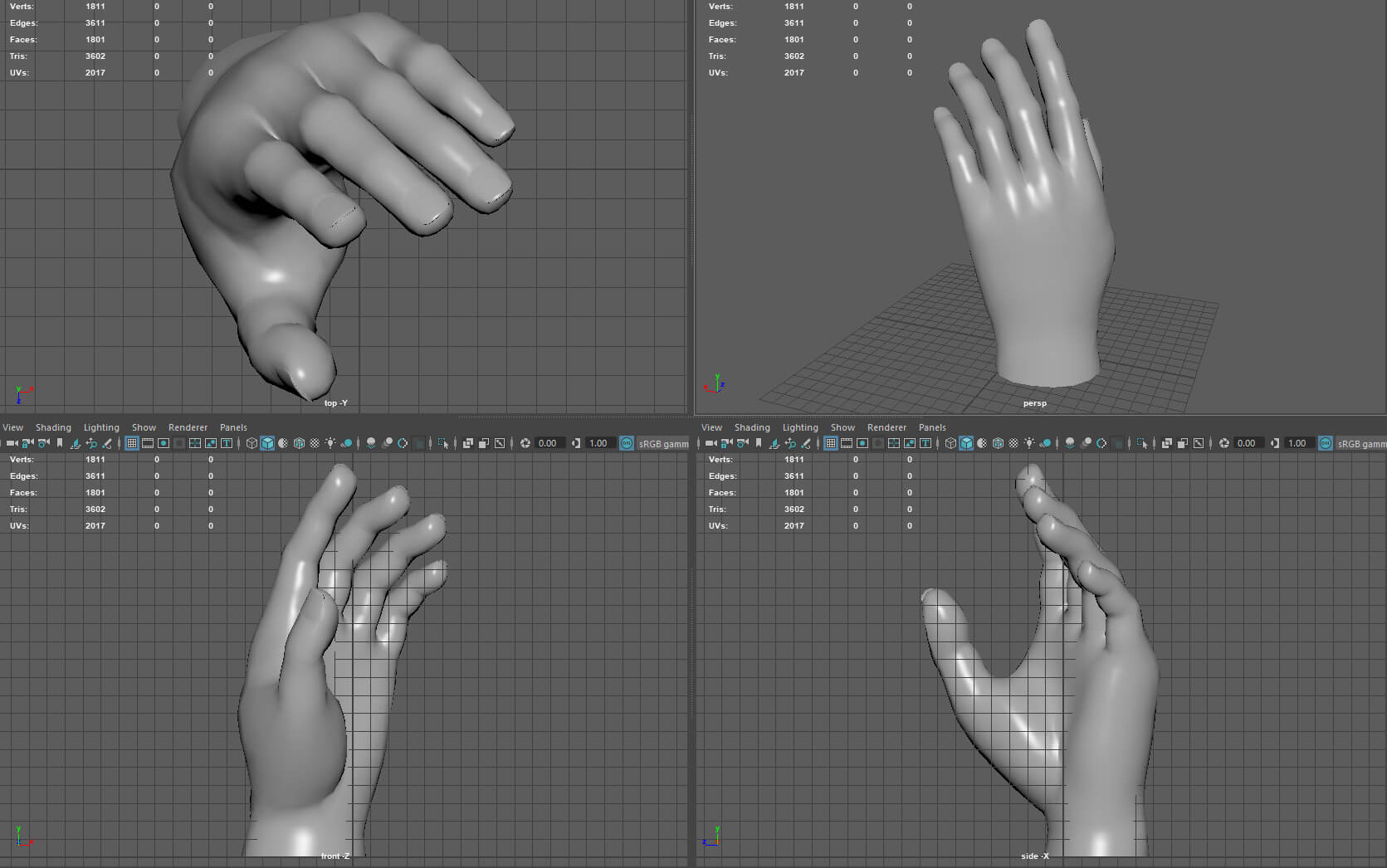 Anatomy Male Hand - 3D Model by sanchiesp