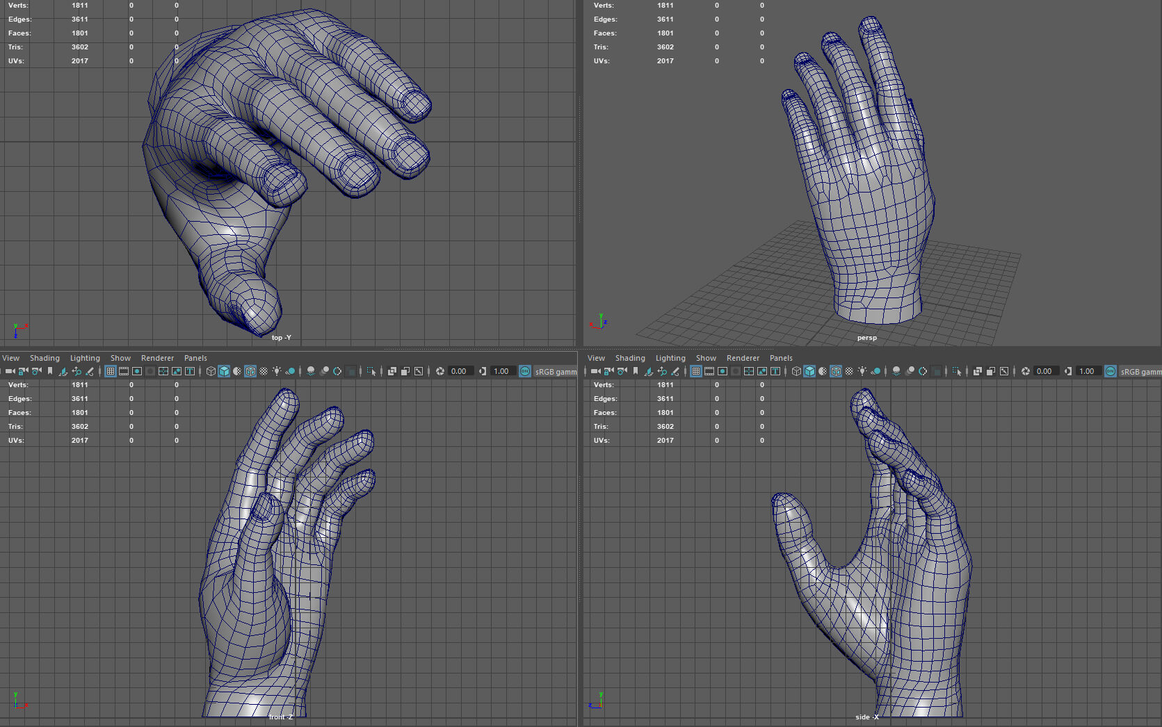 Anatomy Male Hand - 3D Model by sanchiesp
