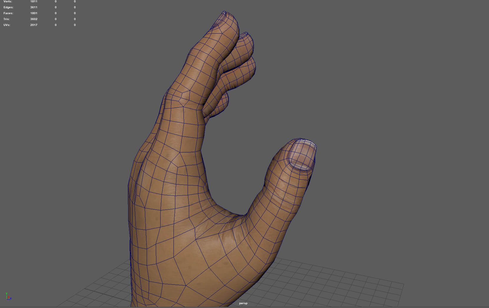 Anatomy Male Hand - 3D Model by sanchiesp