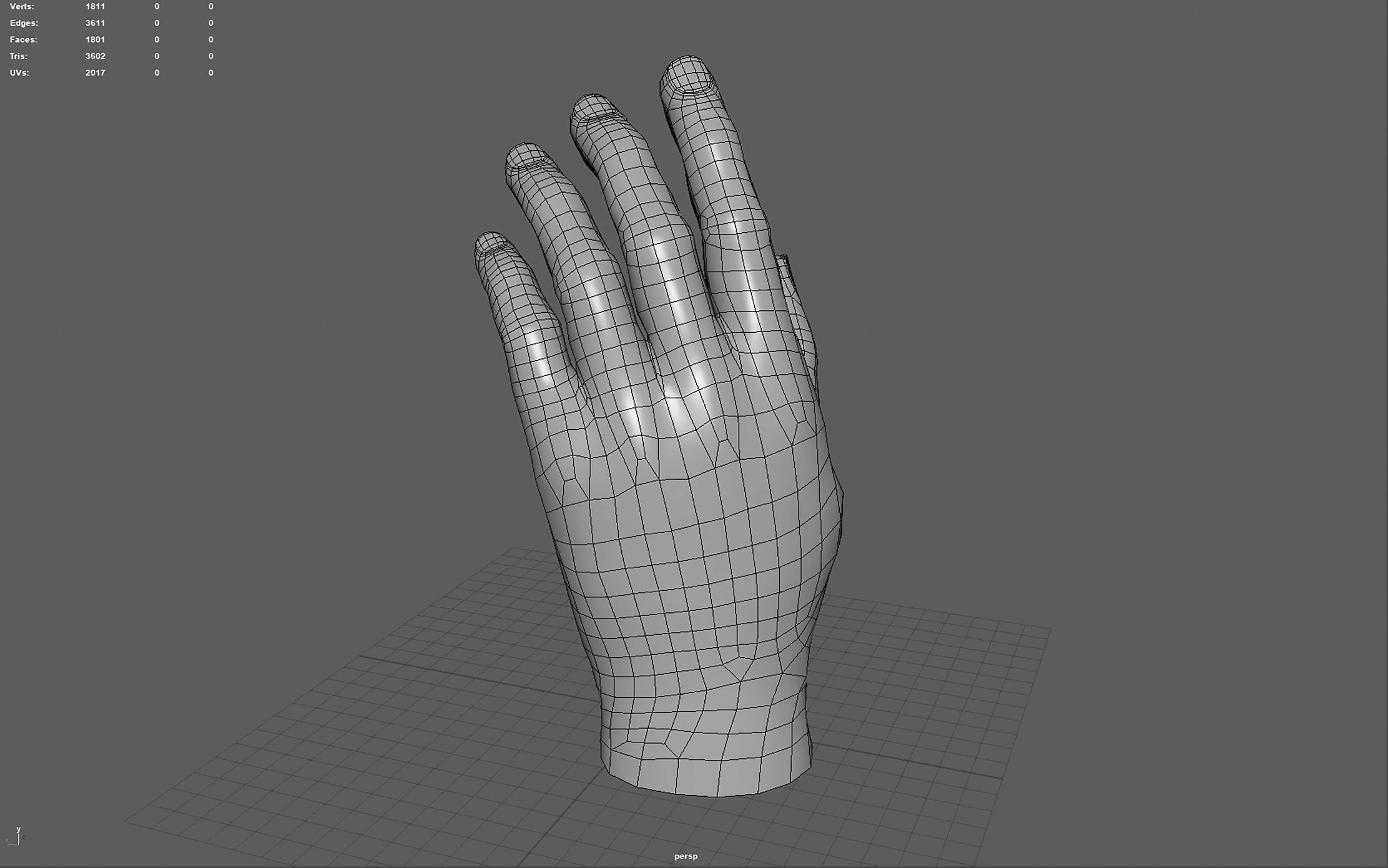 Anatomy Male Hand - 3D Model by sanchiesp