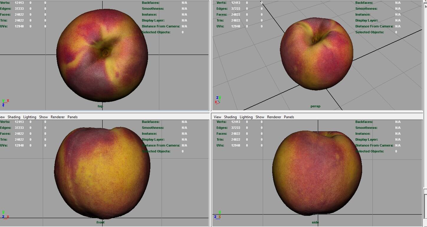 Peach - 3D Model by sanchiesp