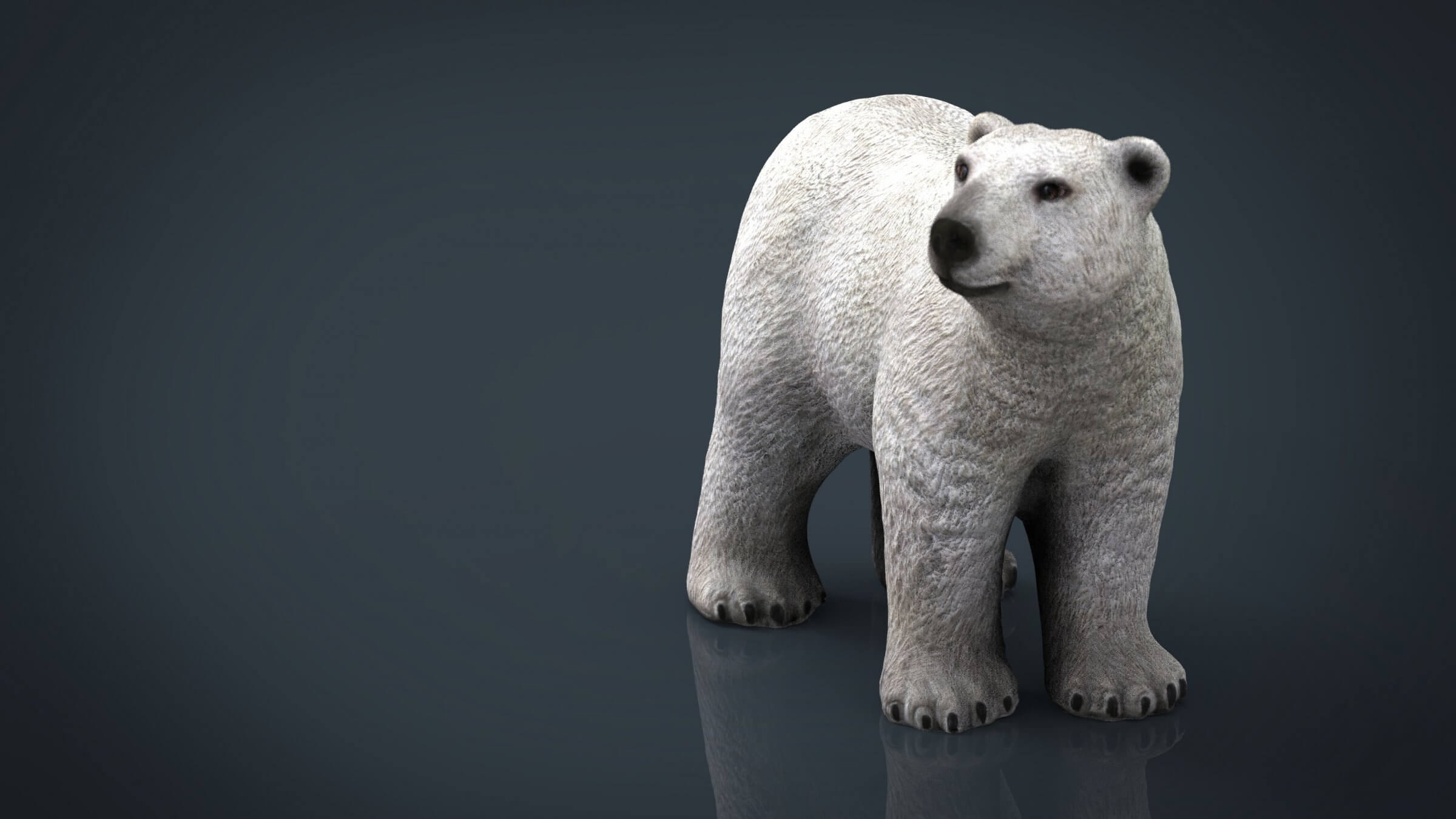 Polar Bear - 3D Model by sanchiesp