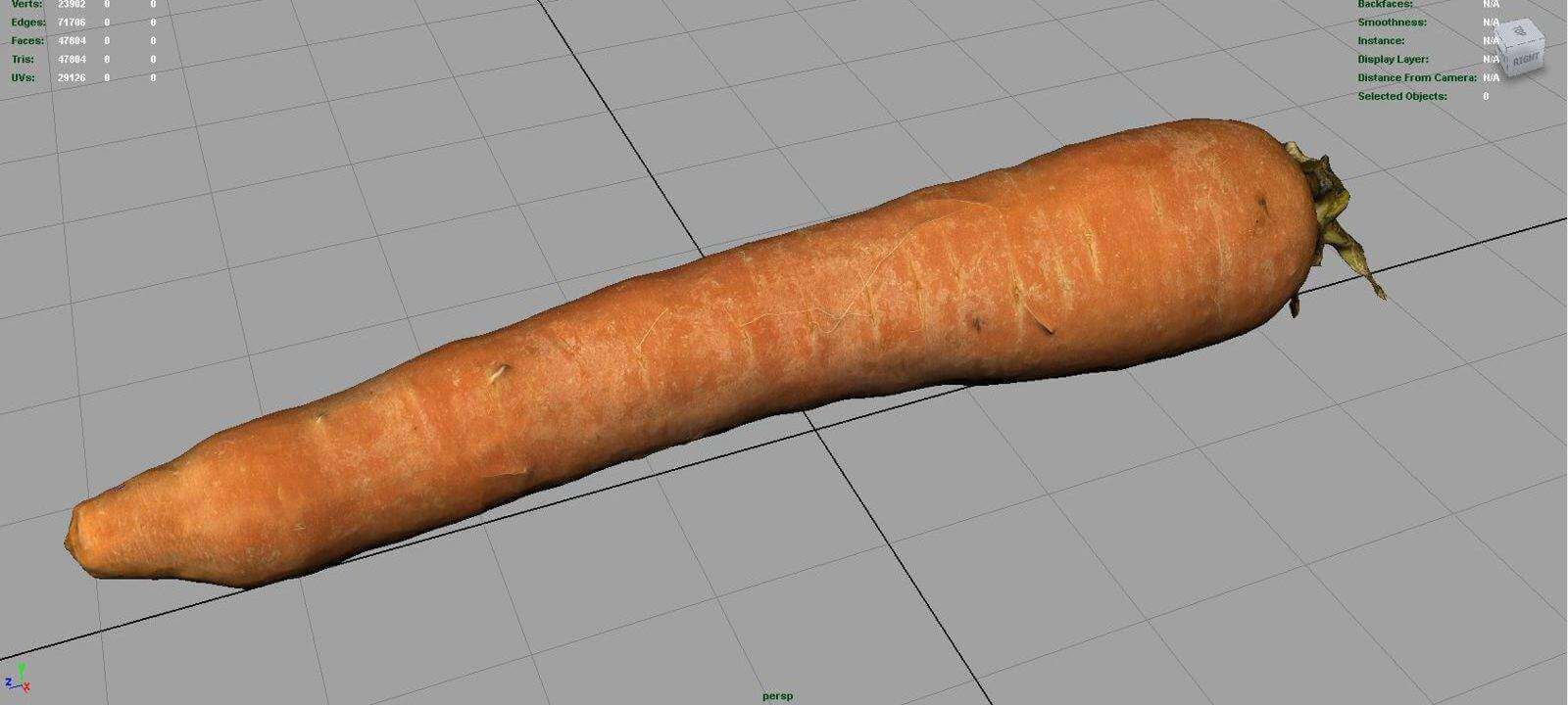 Carrot - 3D Model by sanchiesp