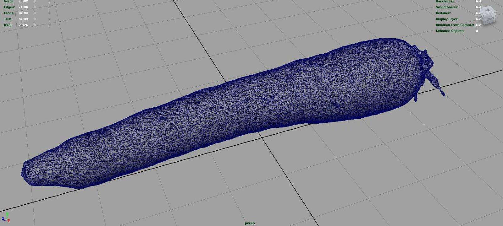 Carrot - 3D Model by sanchiesp