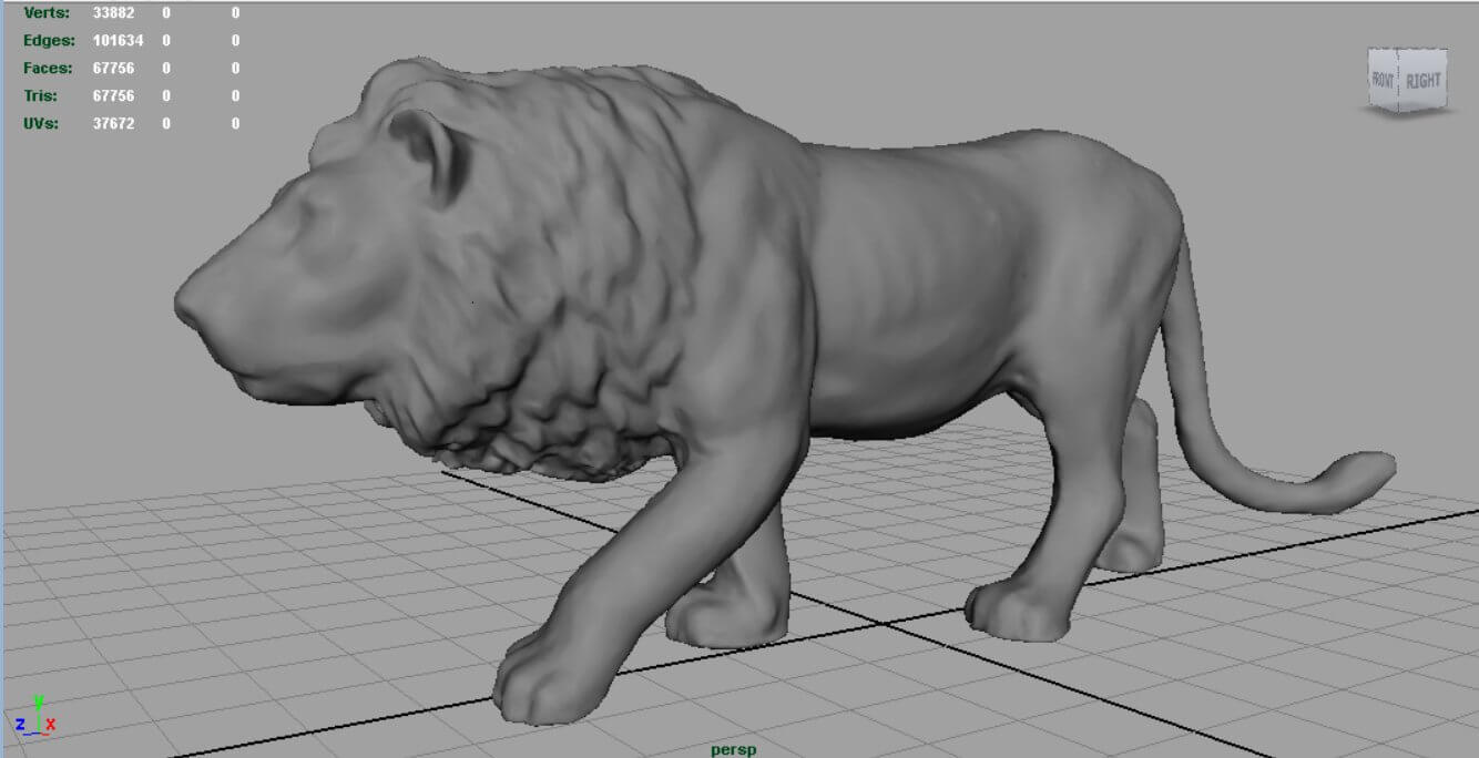 Realistic Lion - 3D Model by sanchiesp