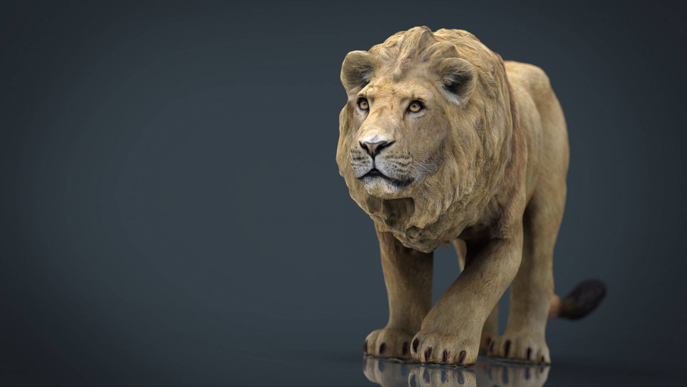 Realistic Lion - 3D Model by sanchiesp
