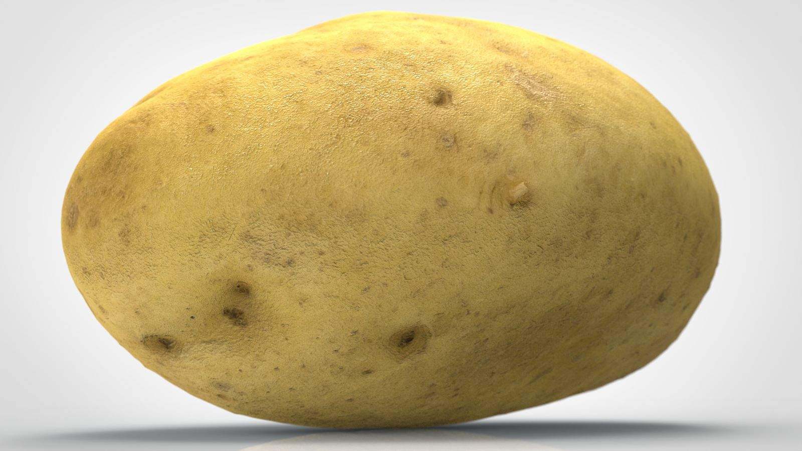 Potato - 3D Model by sanchiesp
