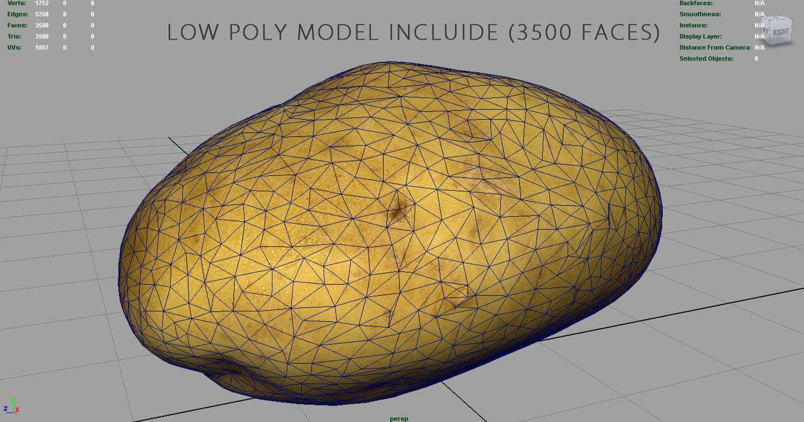 Potato - 3D Model by sanchiesp