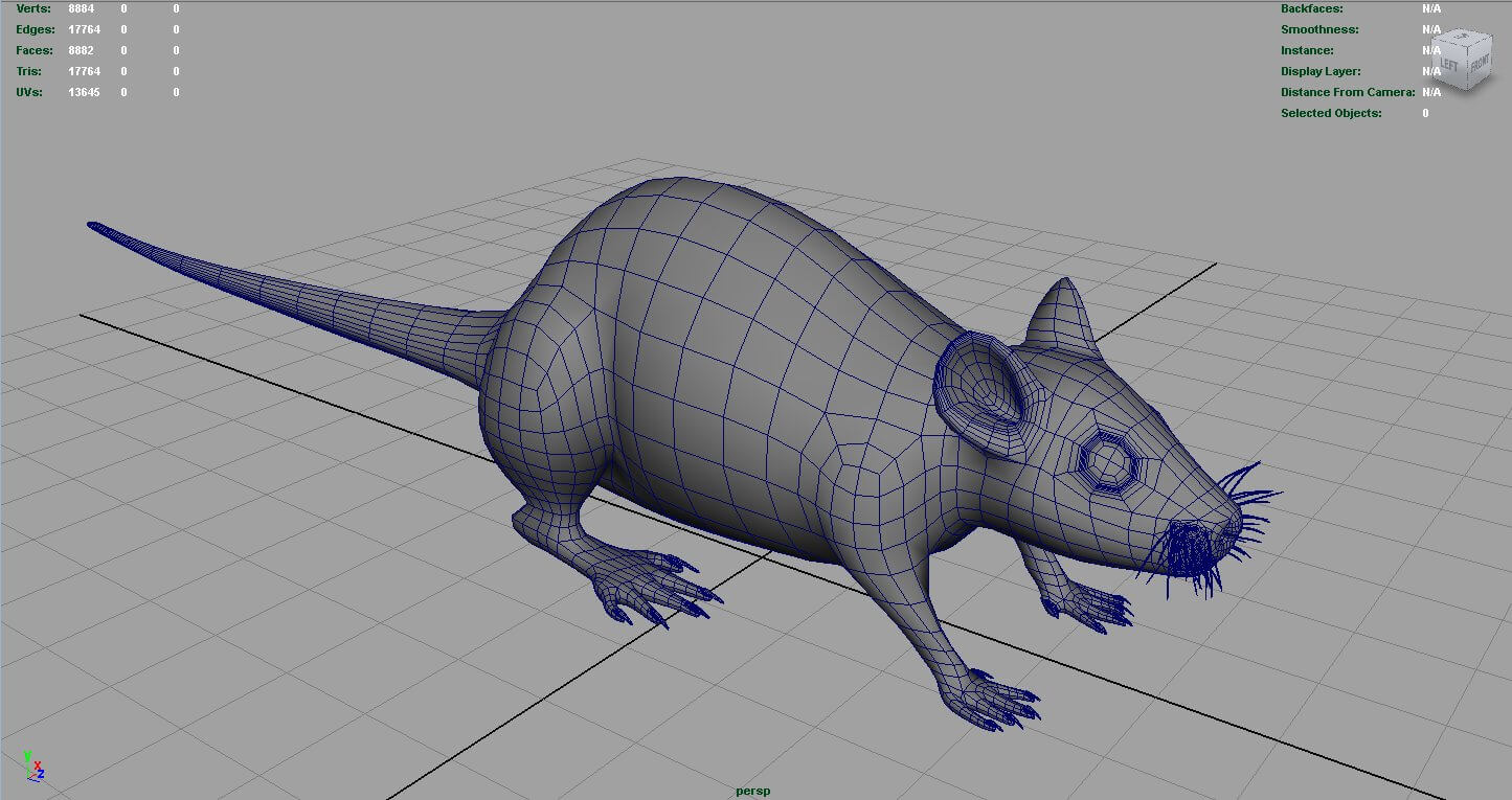 Realistic Rat - 3D Model by sanchiesp