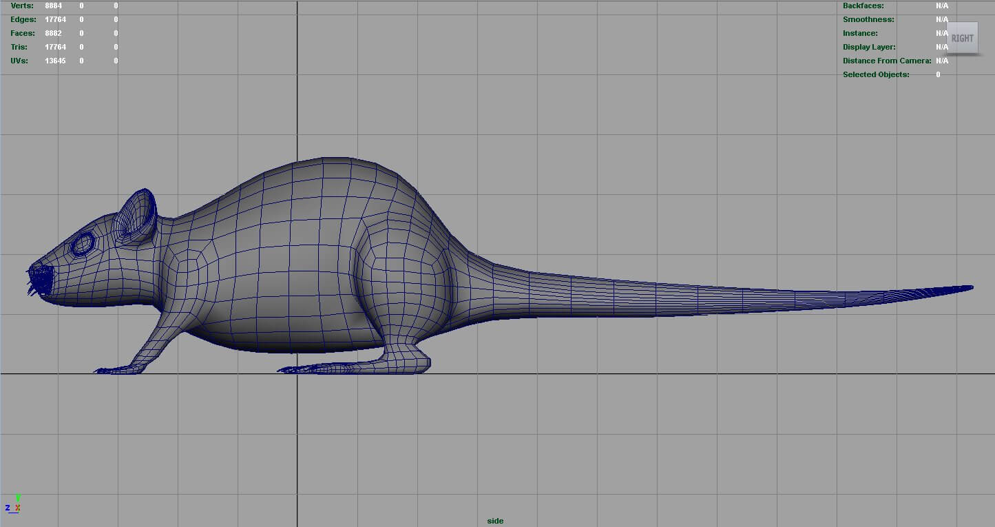 Realistic Rat - 3D Model by sanchiesp