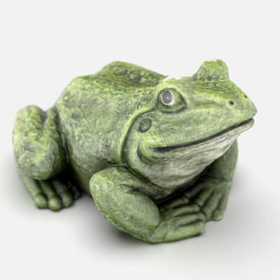 Realistic Toad - 3D Model by sanchiesp