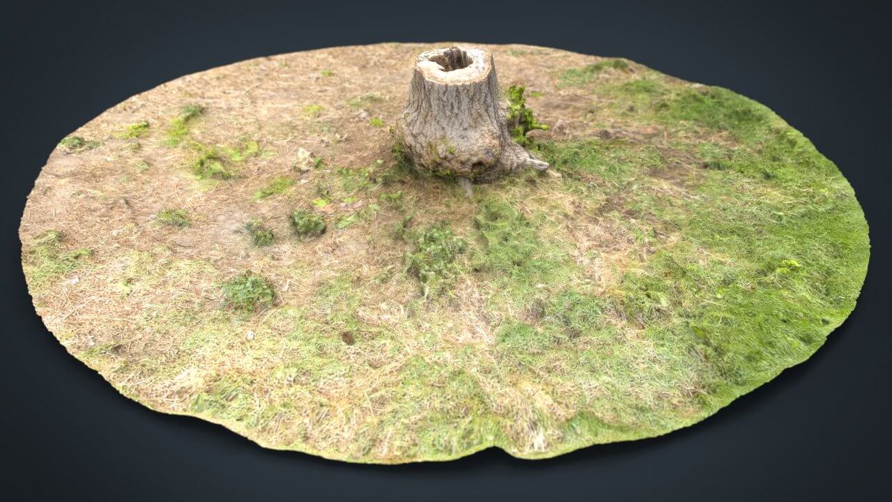 Tree Stump 4 - 3D Model by sanchiesp