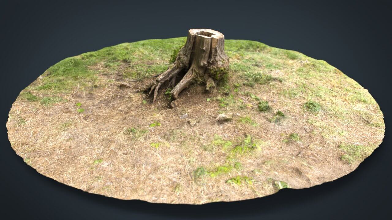 Tree Stump 4 - 3D Model by sanchiesp