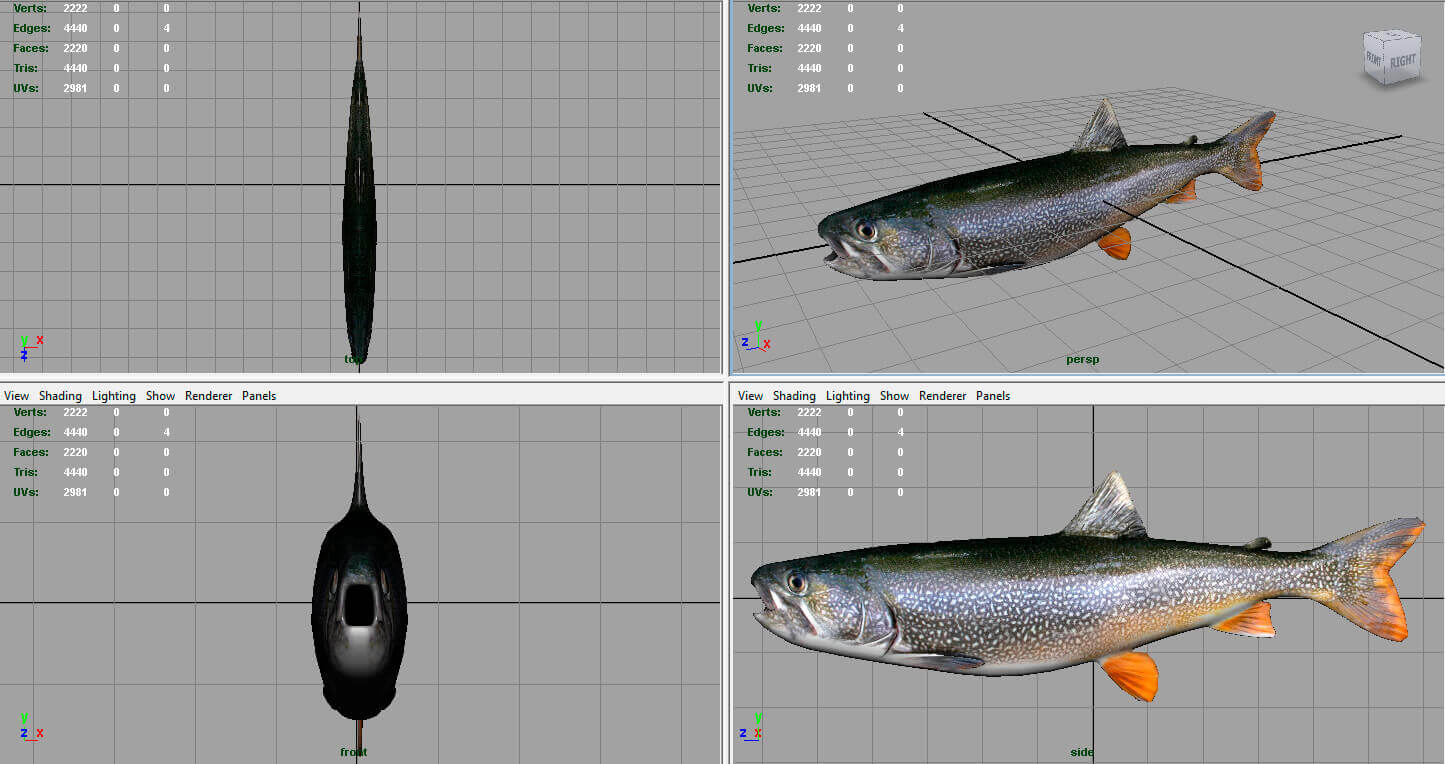 Trout - 3D Model by sanchiesp