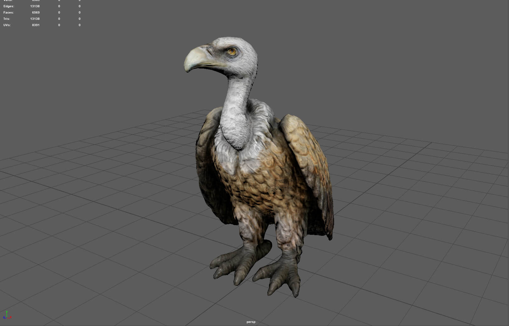 Realistic Vulture - 3D Model by sanchiesp