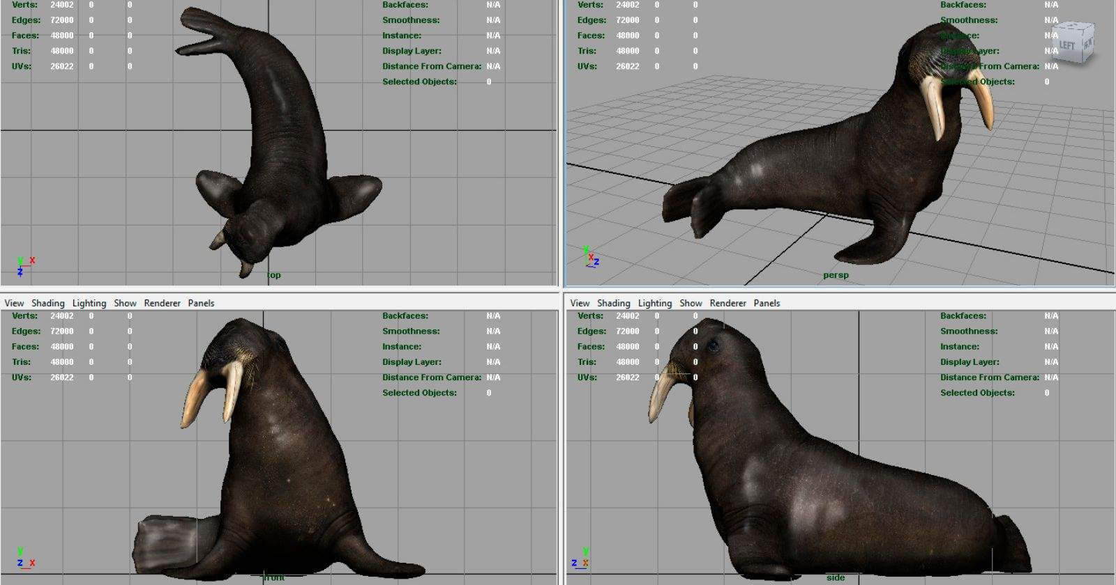 Walrus - 3D Model by sanchiesp