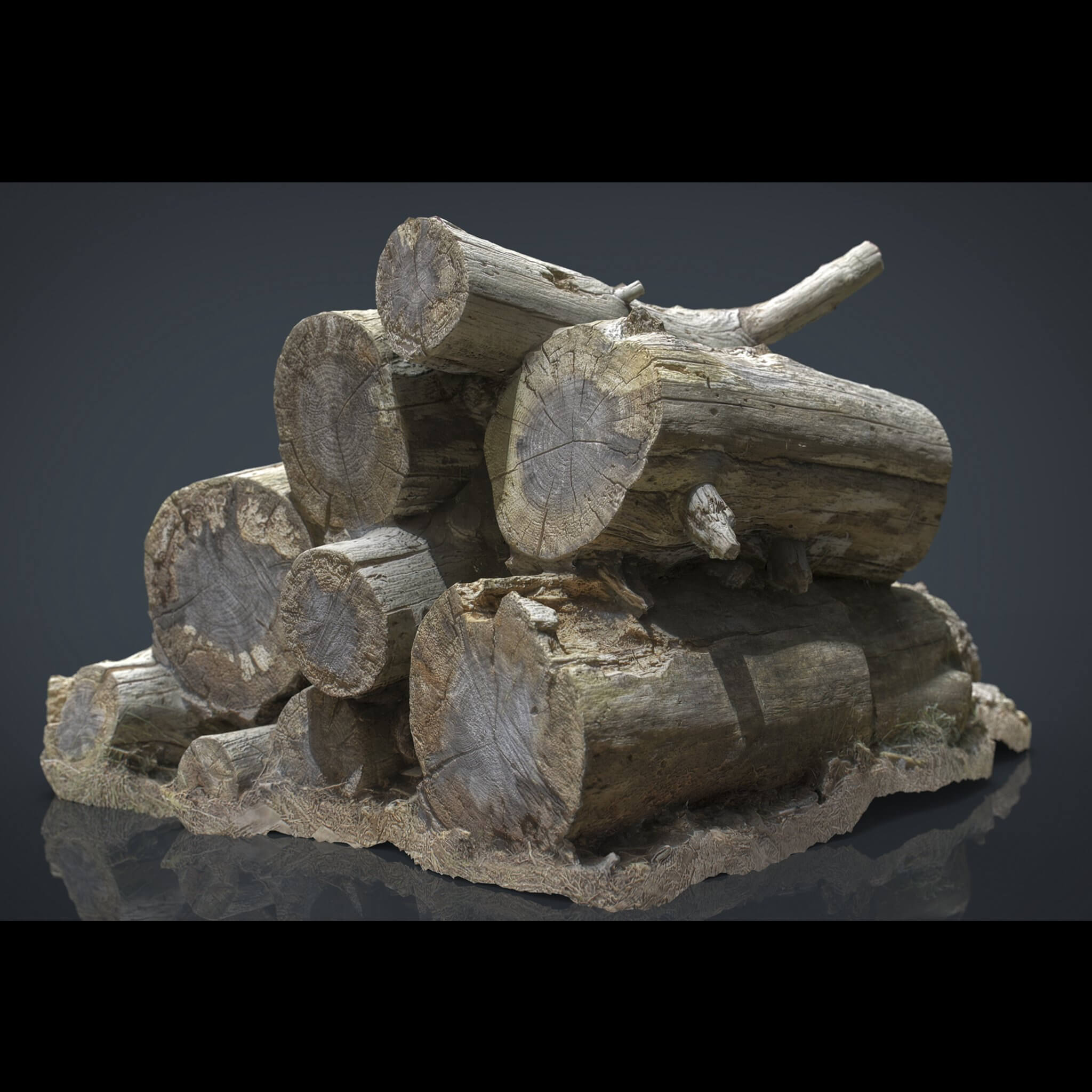 Wooden Logs - 3D Model by sanchiesp