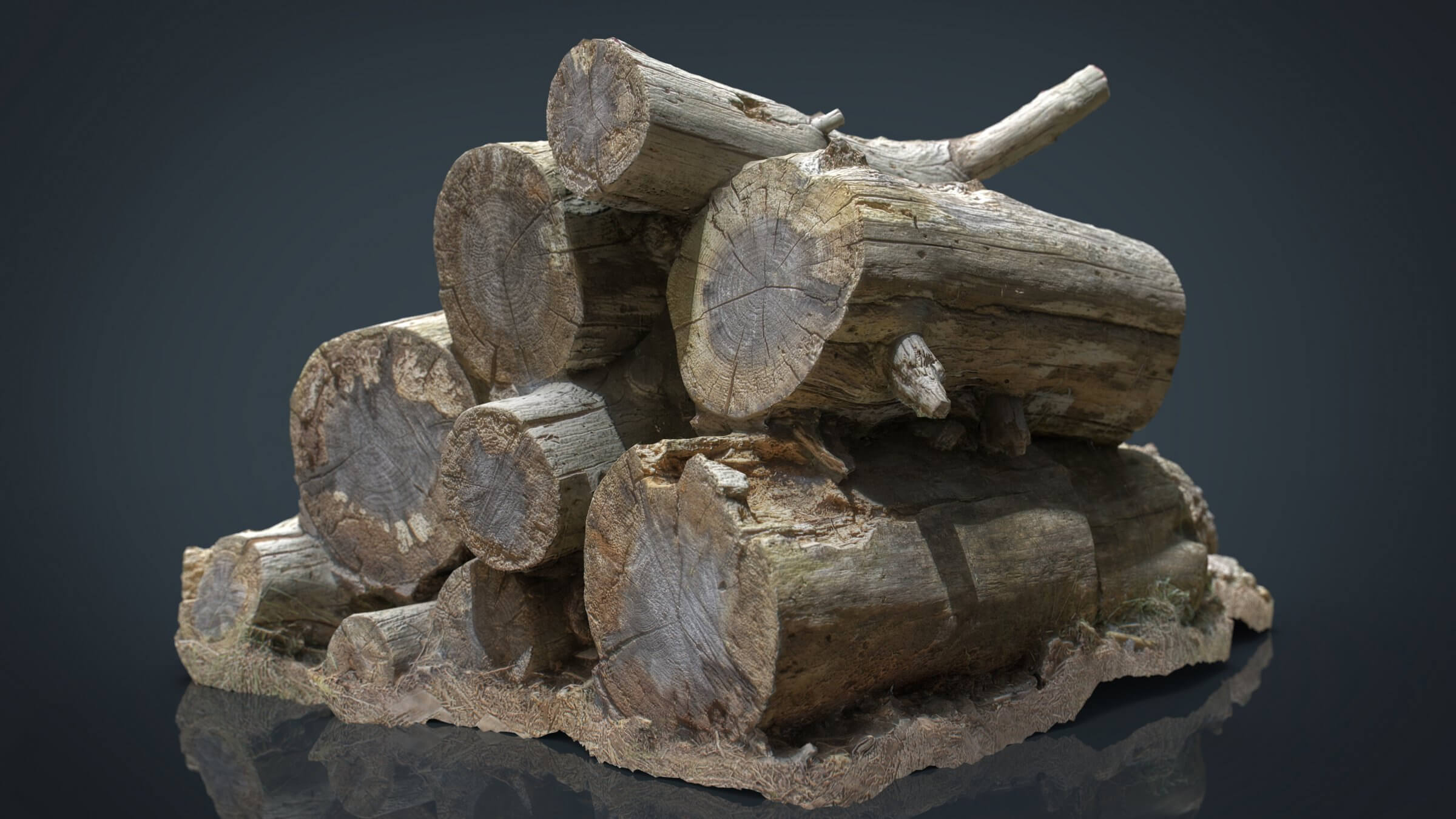 Wooden Logs - 3D Model by sanchiesp