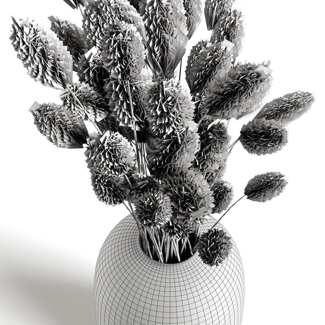 A Bouquet of Lagurus - 3D Model by sara-angel