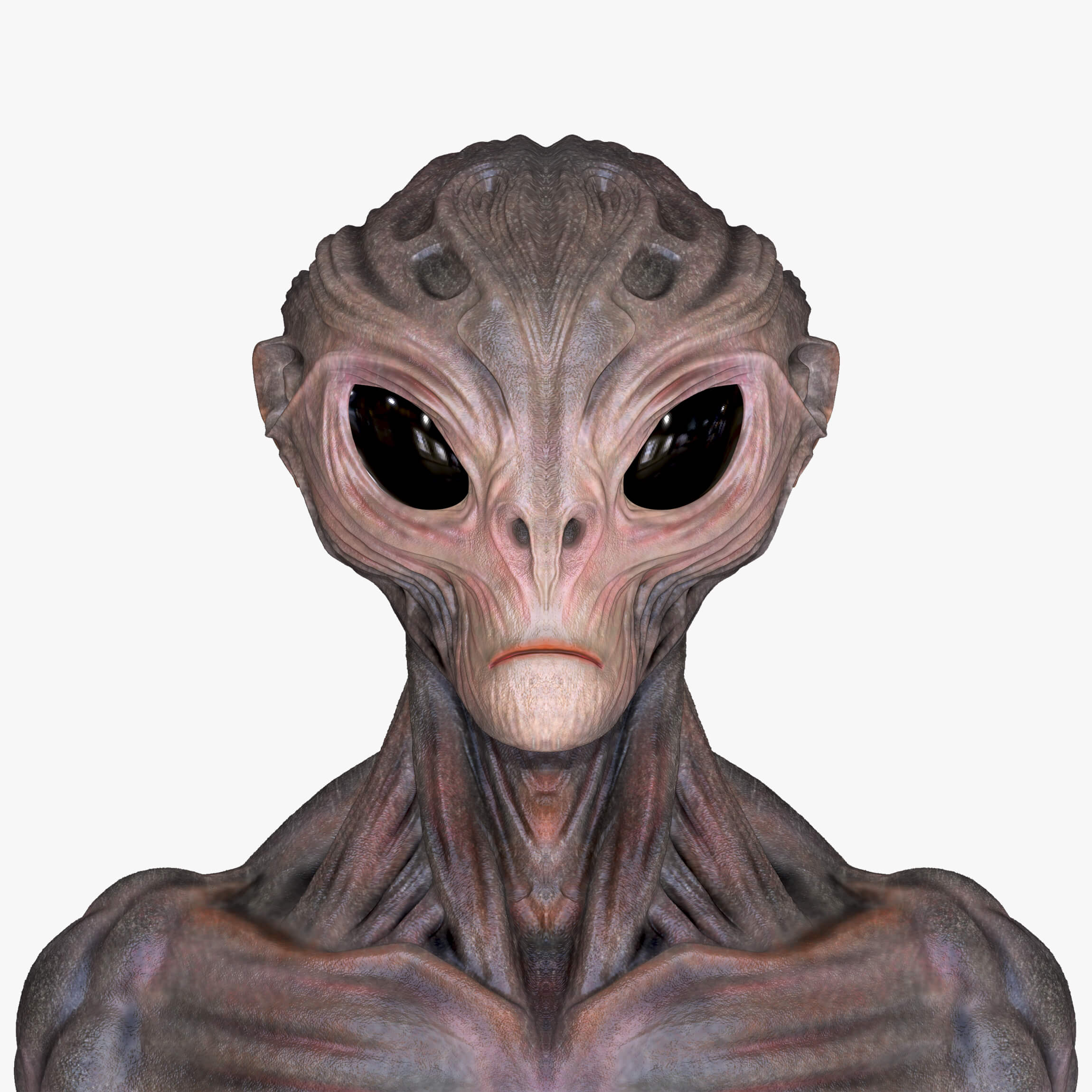 Elder of The Abyss - 3D Model by sara-angel