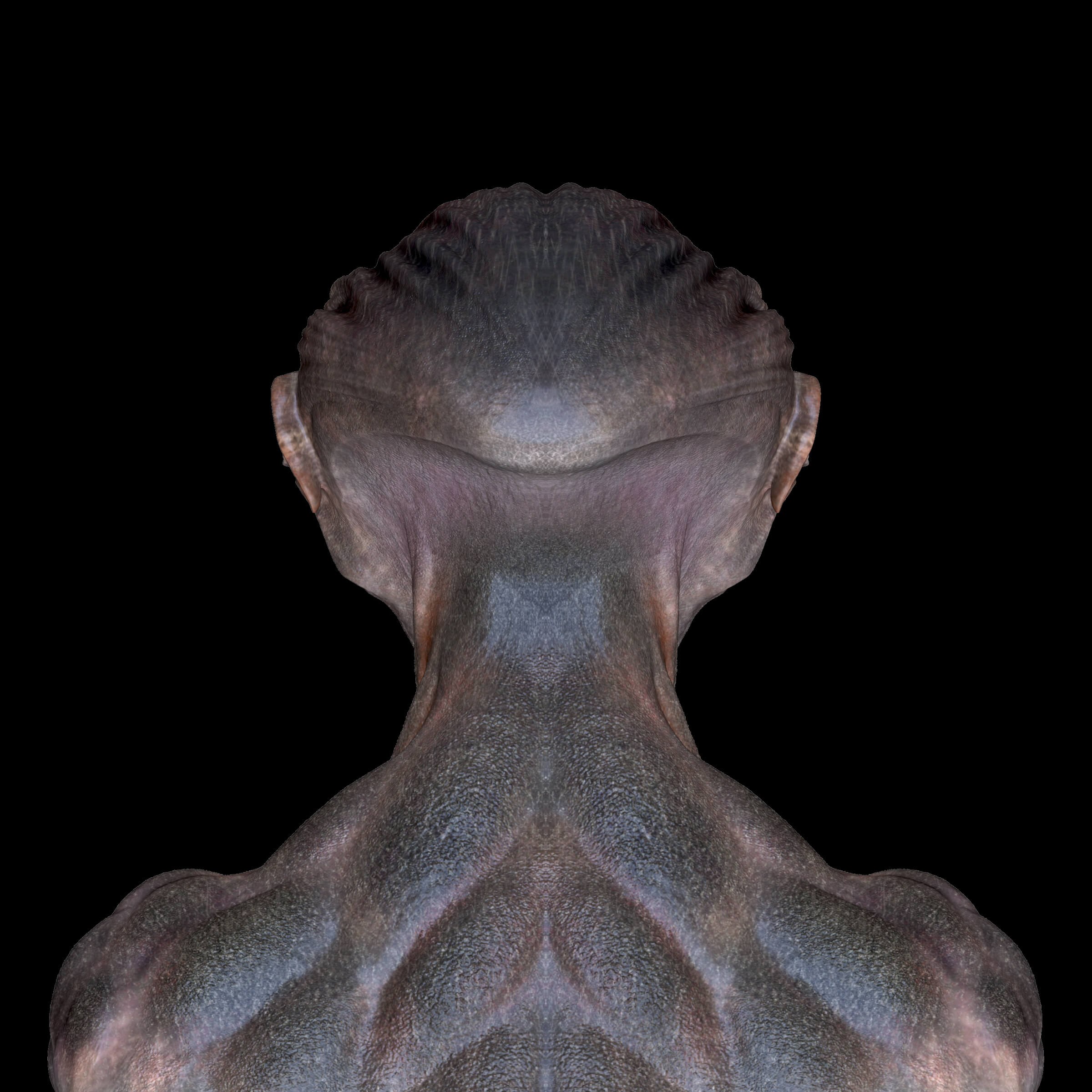 Elder of The Abyss - 3D Model by sara-angel