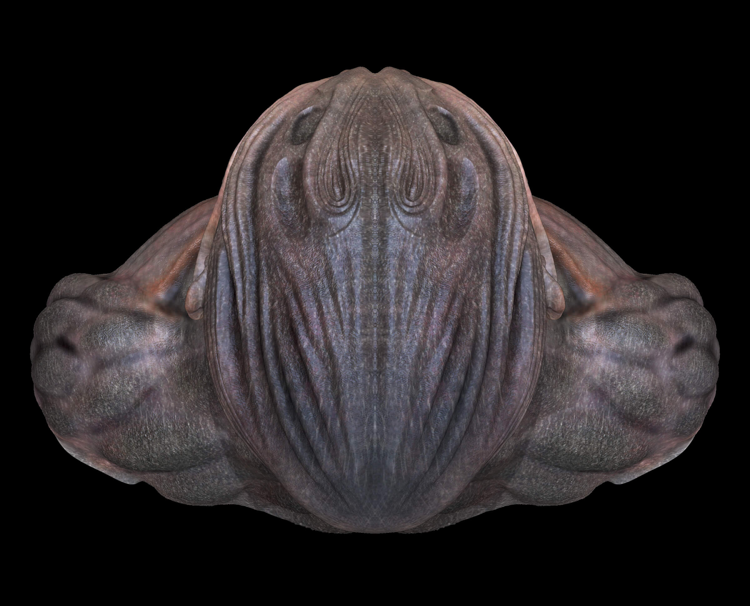 Elder of The Abyss - 3D Model by sara-angel