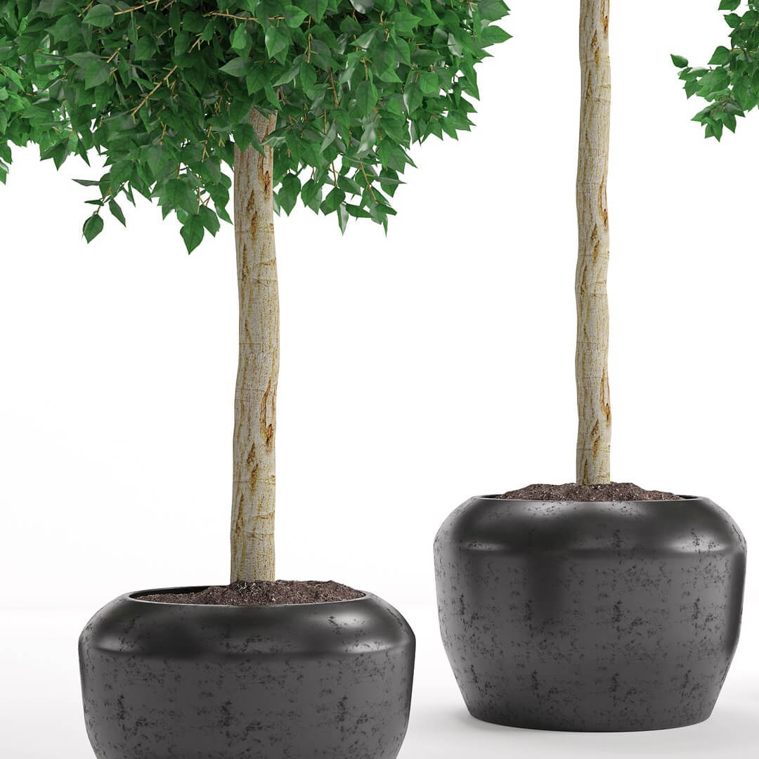 Houseplant Plant Pot - 3D Model by sara-angel