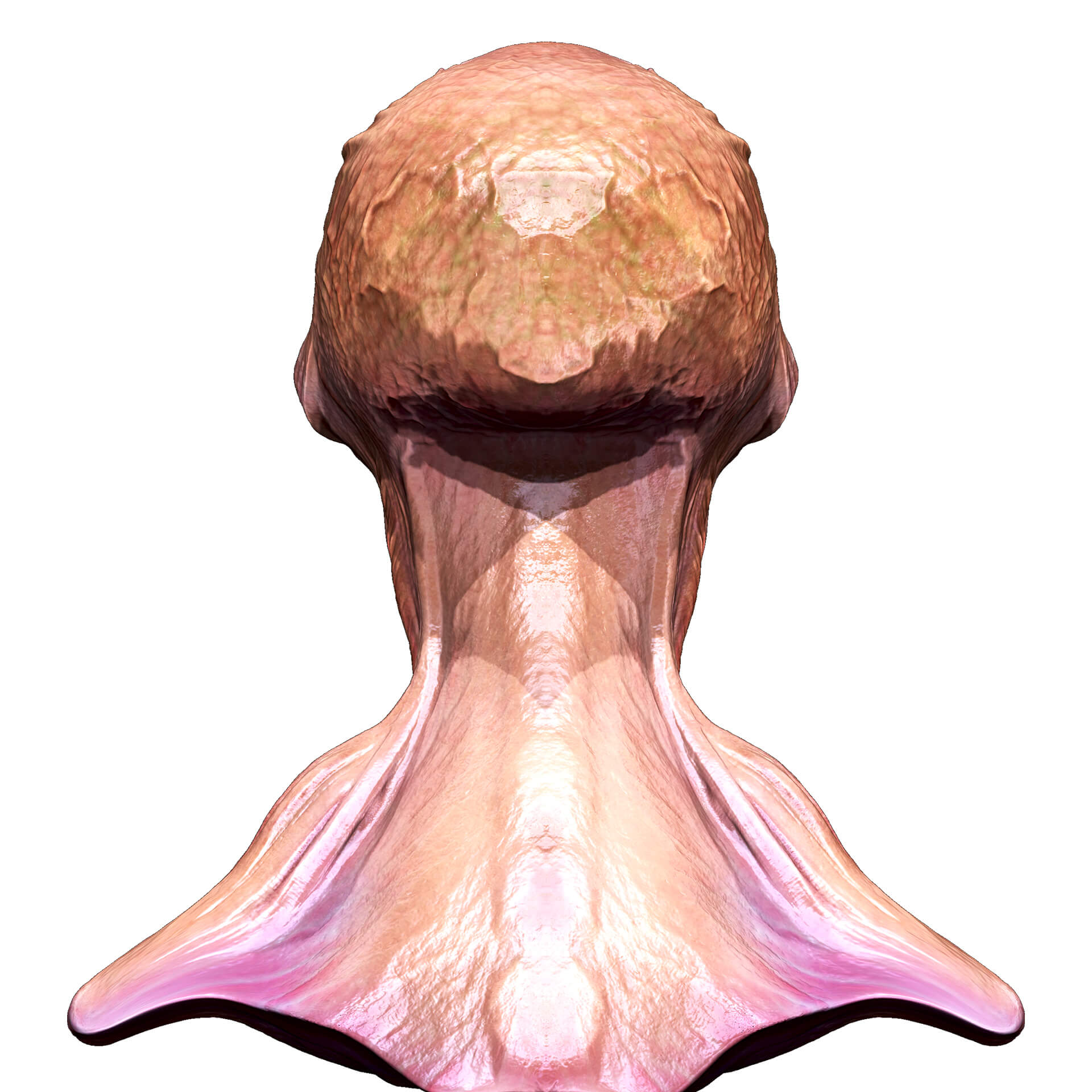 Morphos Titan - 3D Model by sara-angel