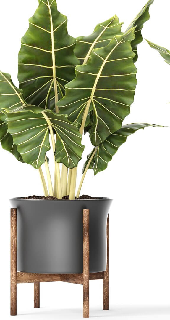 Plant Pot 0111 - 3D Model by sara-angel