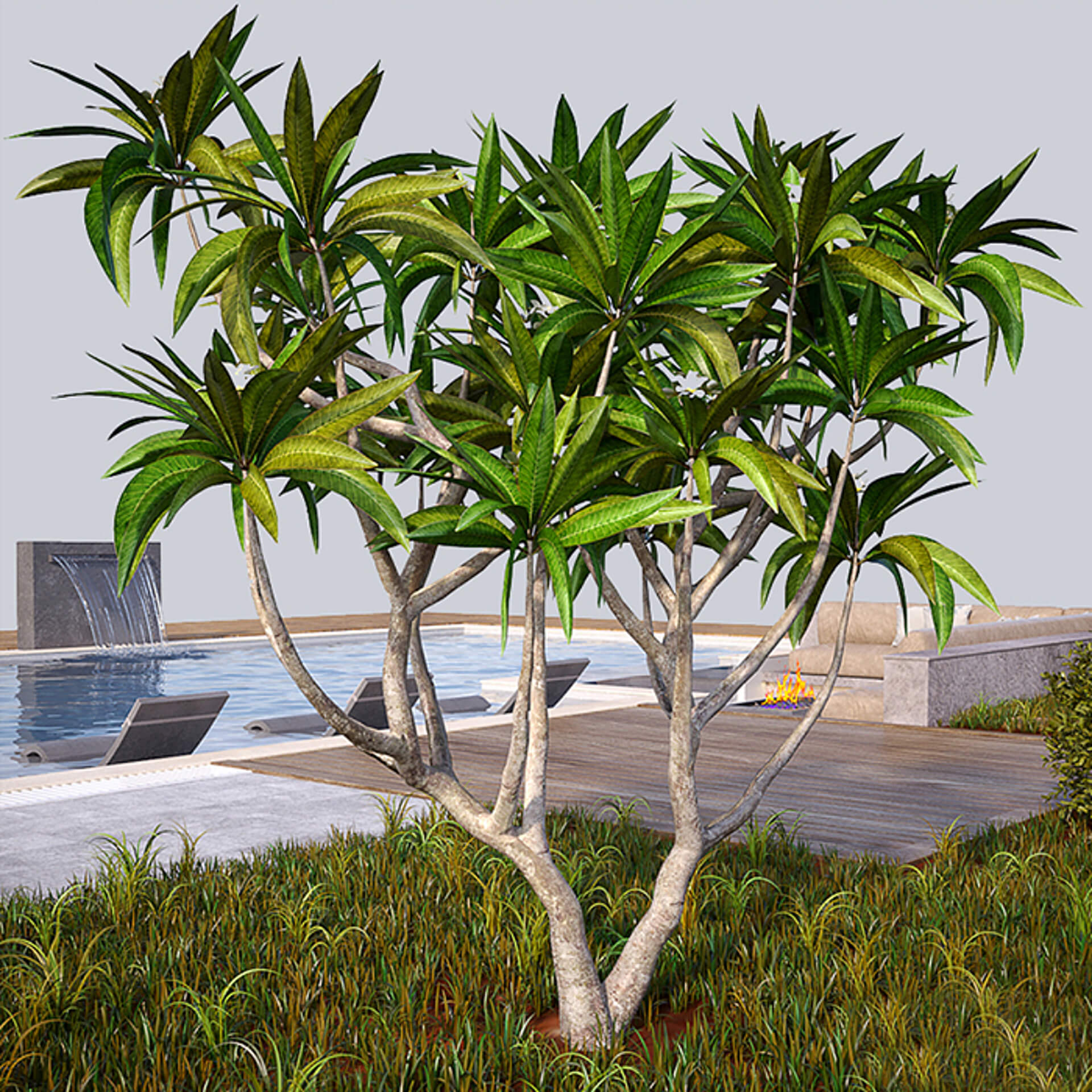 Swimming Pool 2 - 3D Model by sara-angel