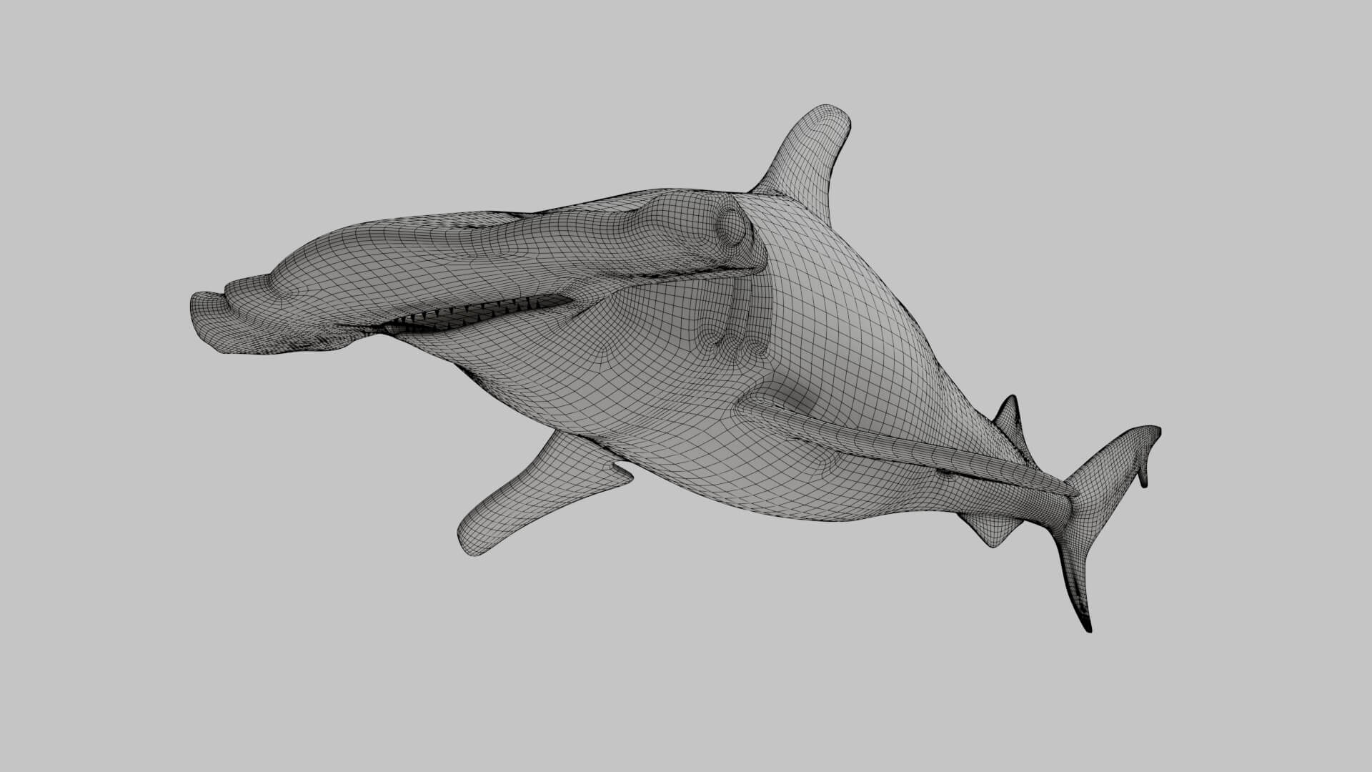 Hammer Head Shark - 3D Model by sathak